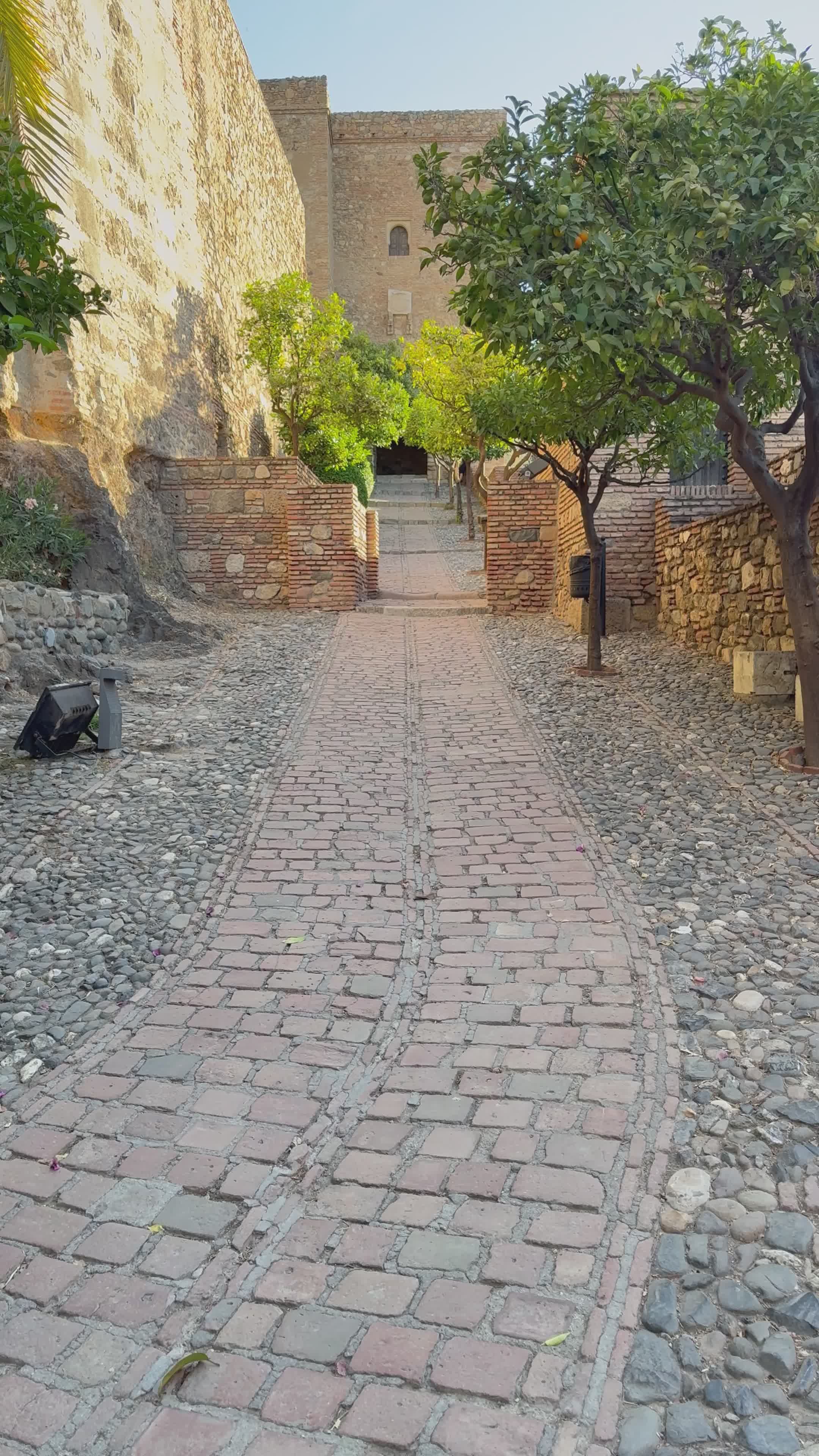 Vídeos de stock gratuitos sobre adoquín, al aire libre, antiguo, árbol ...