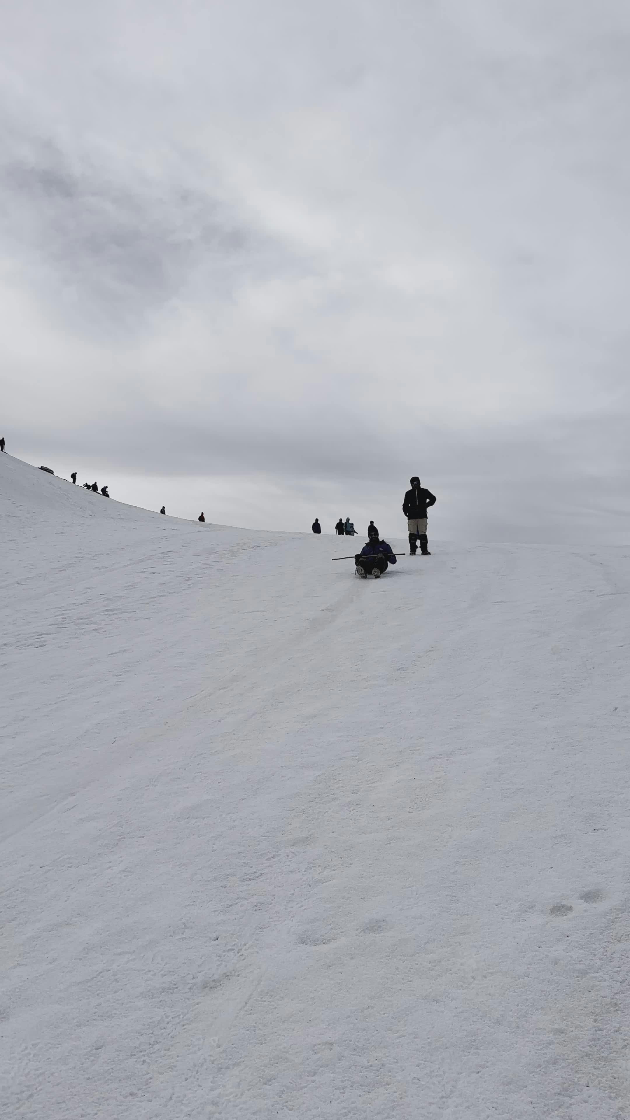 Thrilling Snow Sledding Down Alpine Mountain Free Stock Video Footage ...