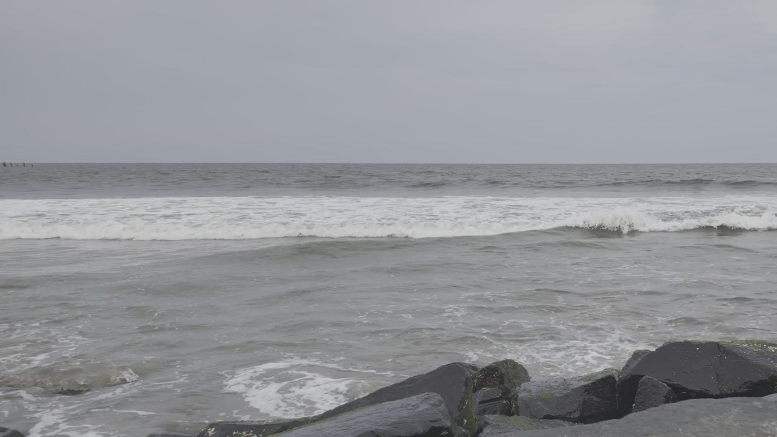 Video Background Videos, Download The BEST Free 4k Stock Video Footage ...