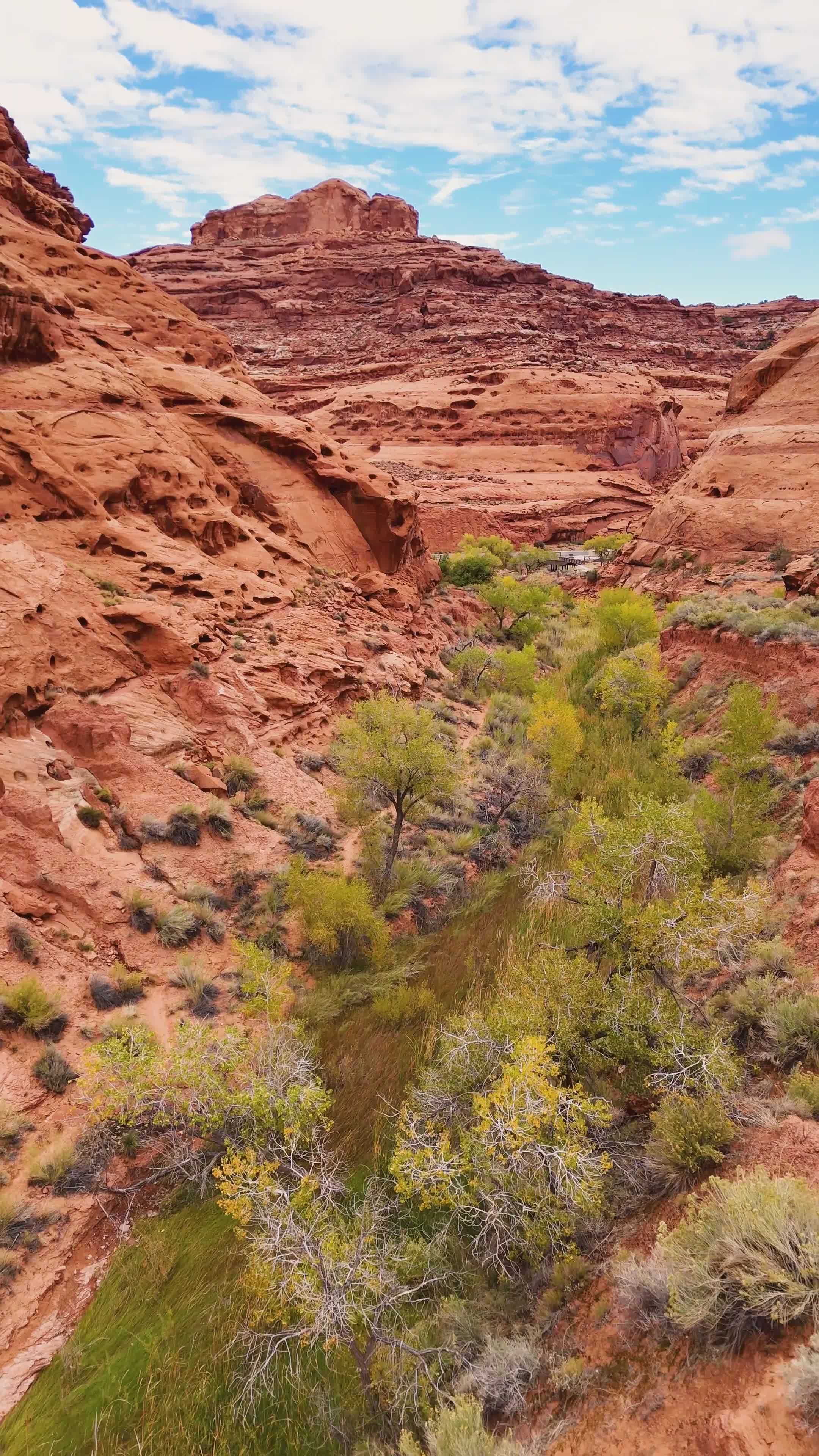 Drone Footage of Desert Canyon Oasis in Utah Free Stock Video Footage ...