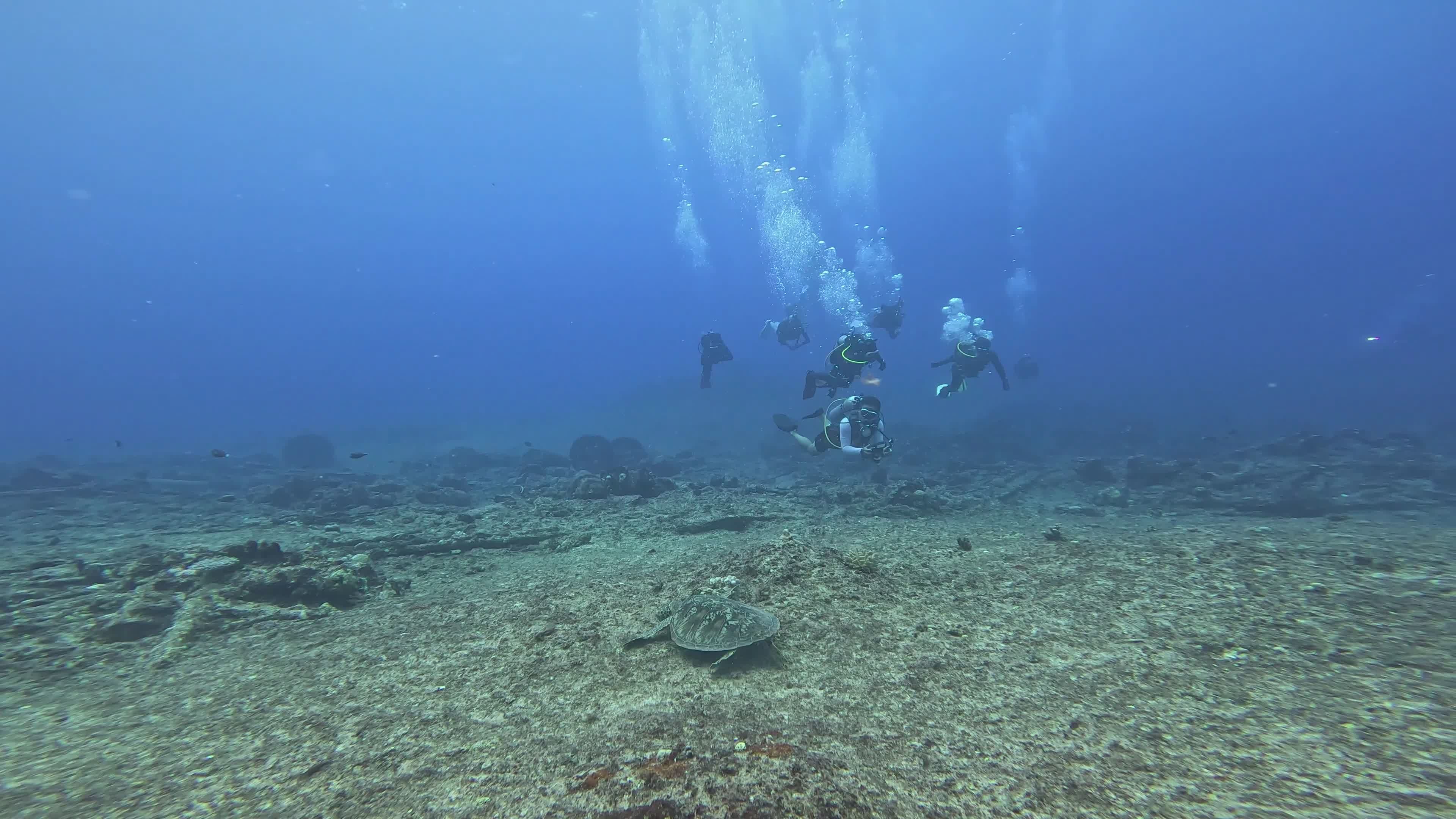 Ford Indonesia Videos Download The Best Free 4k Stock Video Footage