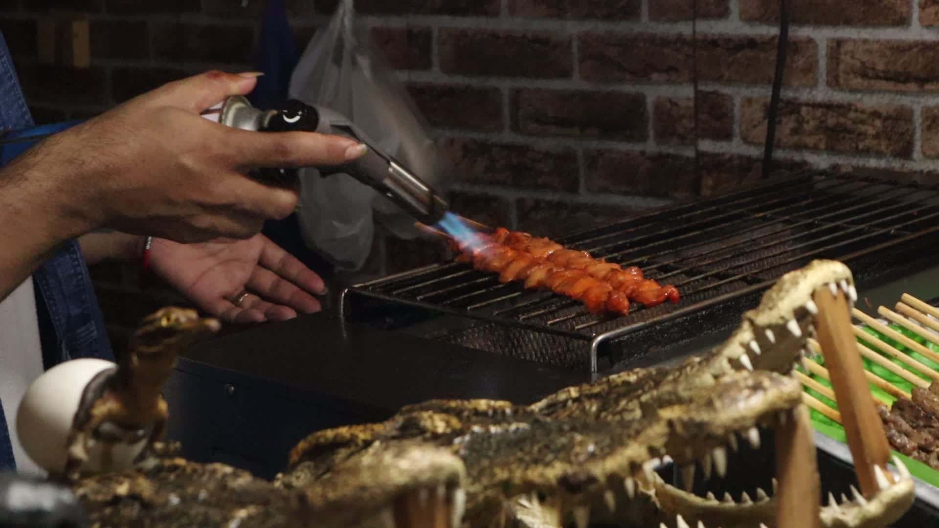 Grilling Skewers with Flame Torch Technique Free Stock Video Footage ...