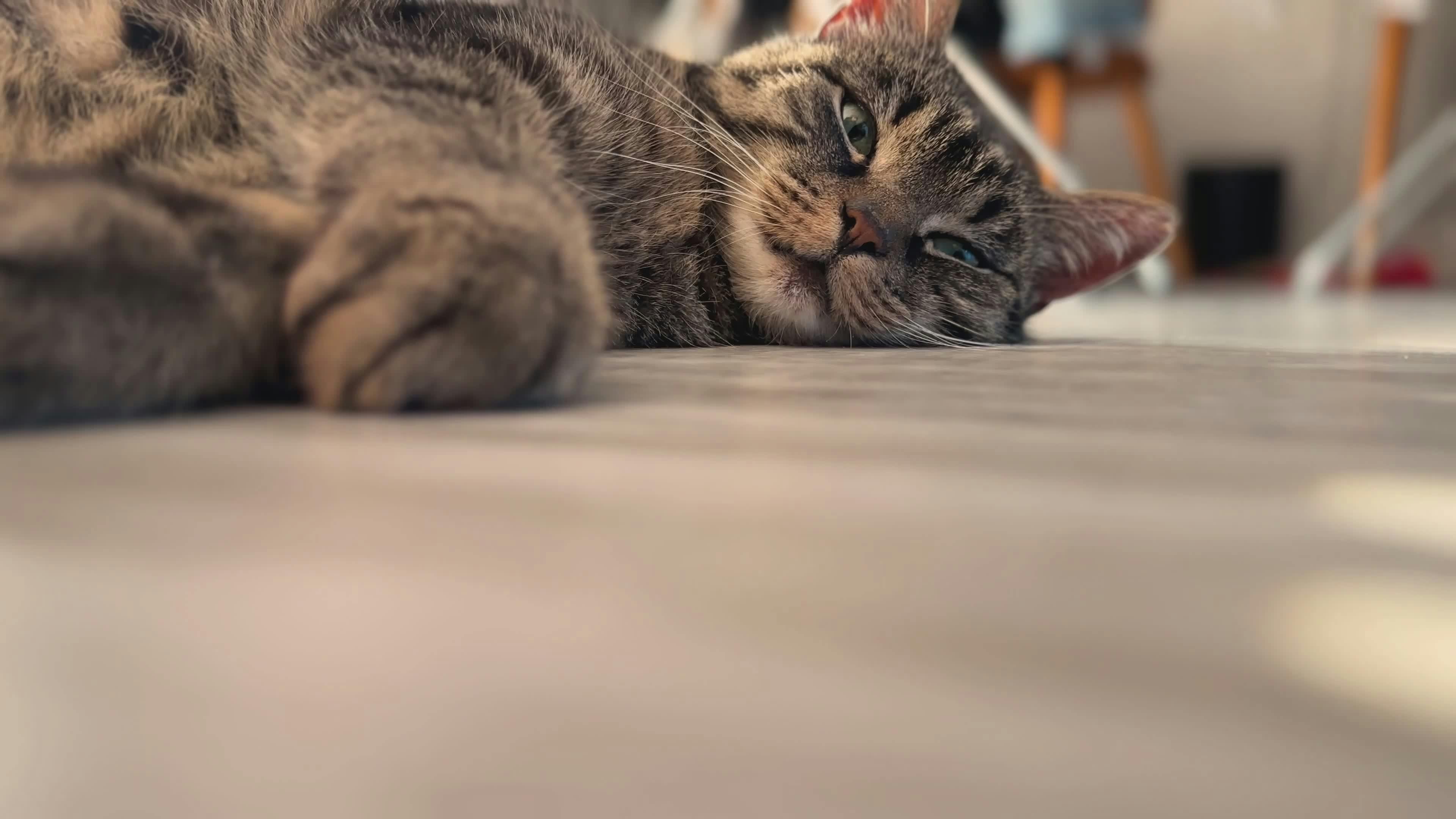 Animated+Women+Fingering+Gifs Videos, Download The BEST Free 4k Stock ...