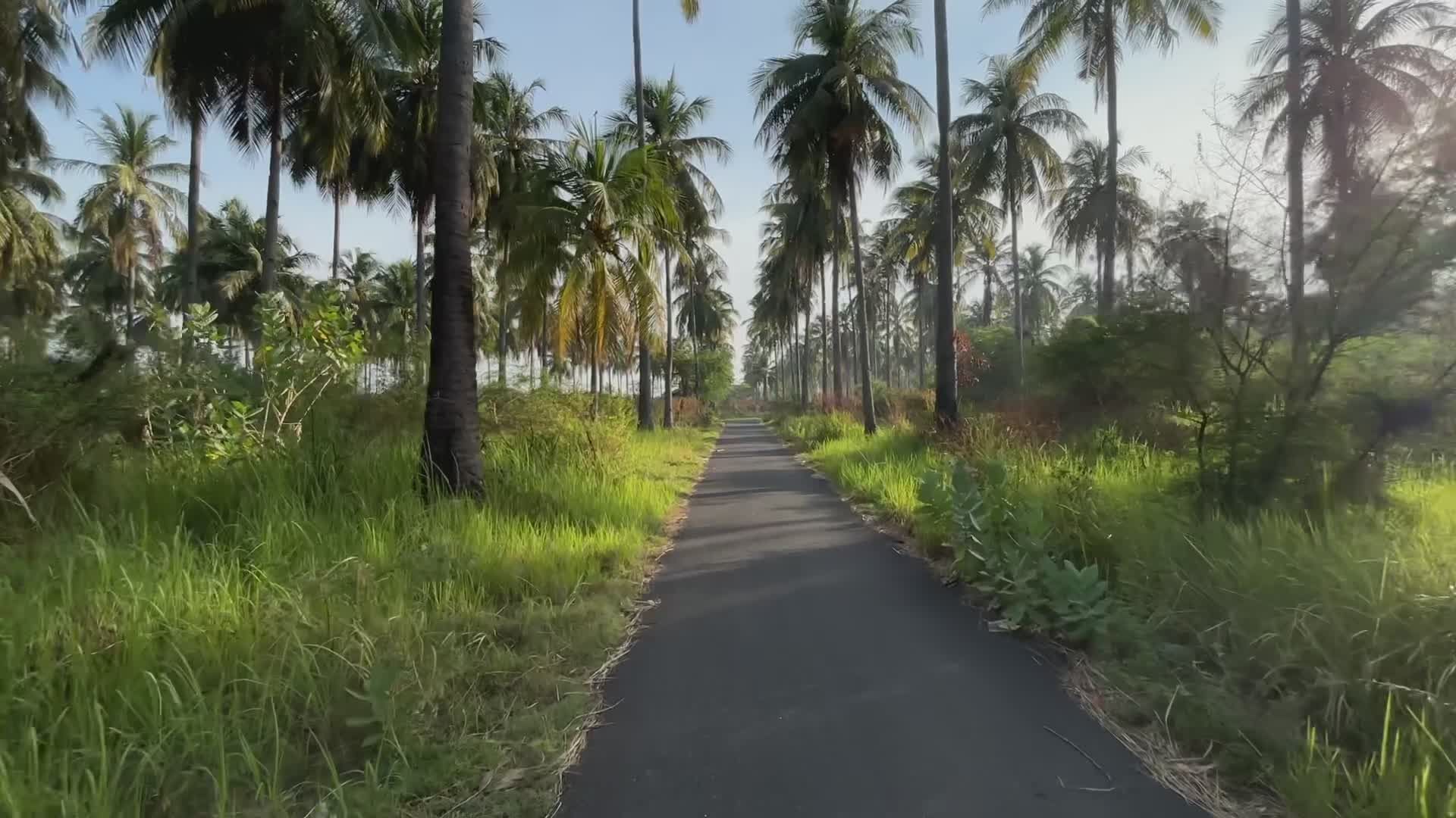 Aesthetic Nature Videos, Download The BEST Free 4k Stock Video Footage ...