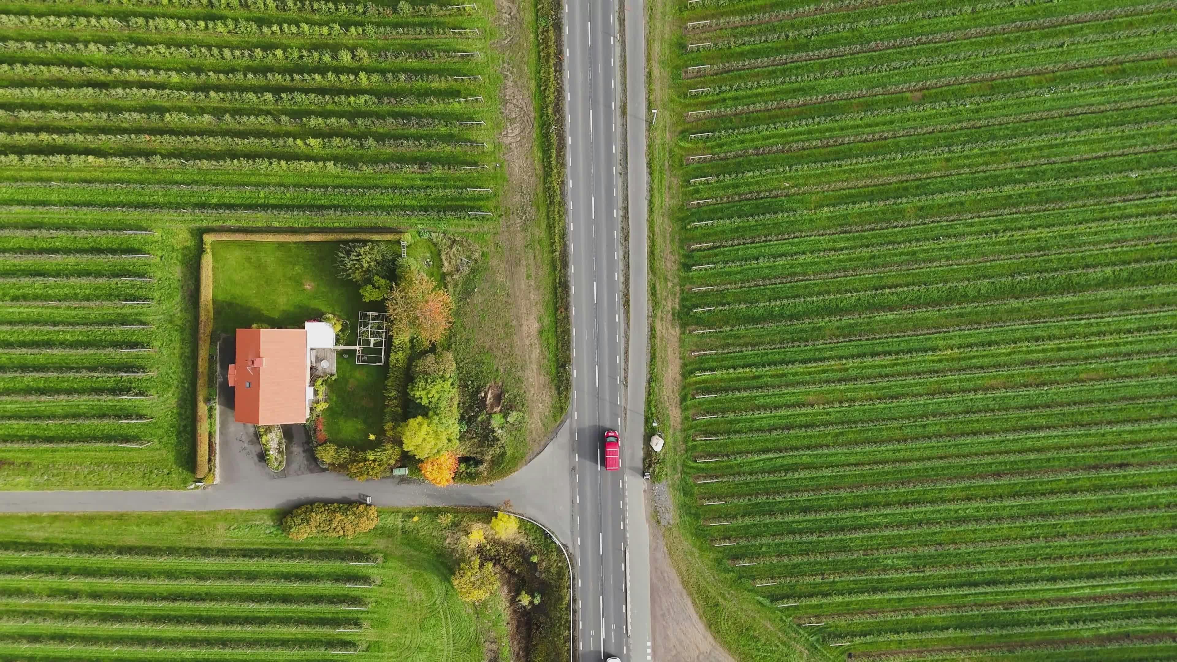 Step+Brother+And+Step+Sister+Home+Alone Videos, Download The BEST Free ...