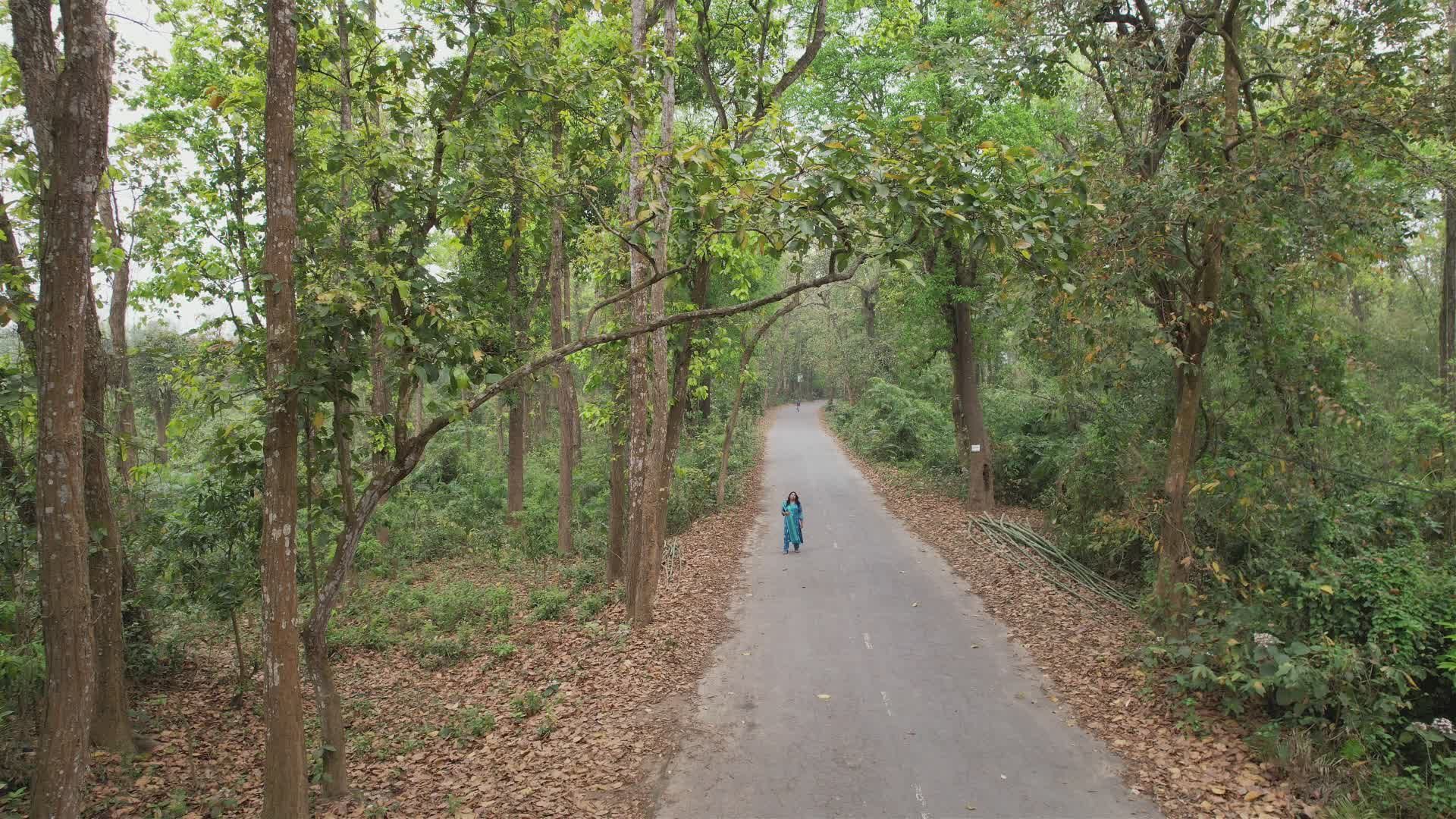 Viaje En Dron Por El Parque Ecológico Modhutila · Vídeo de stock gratuito