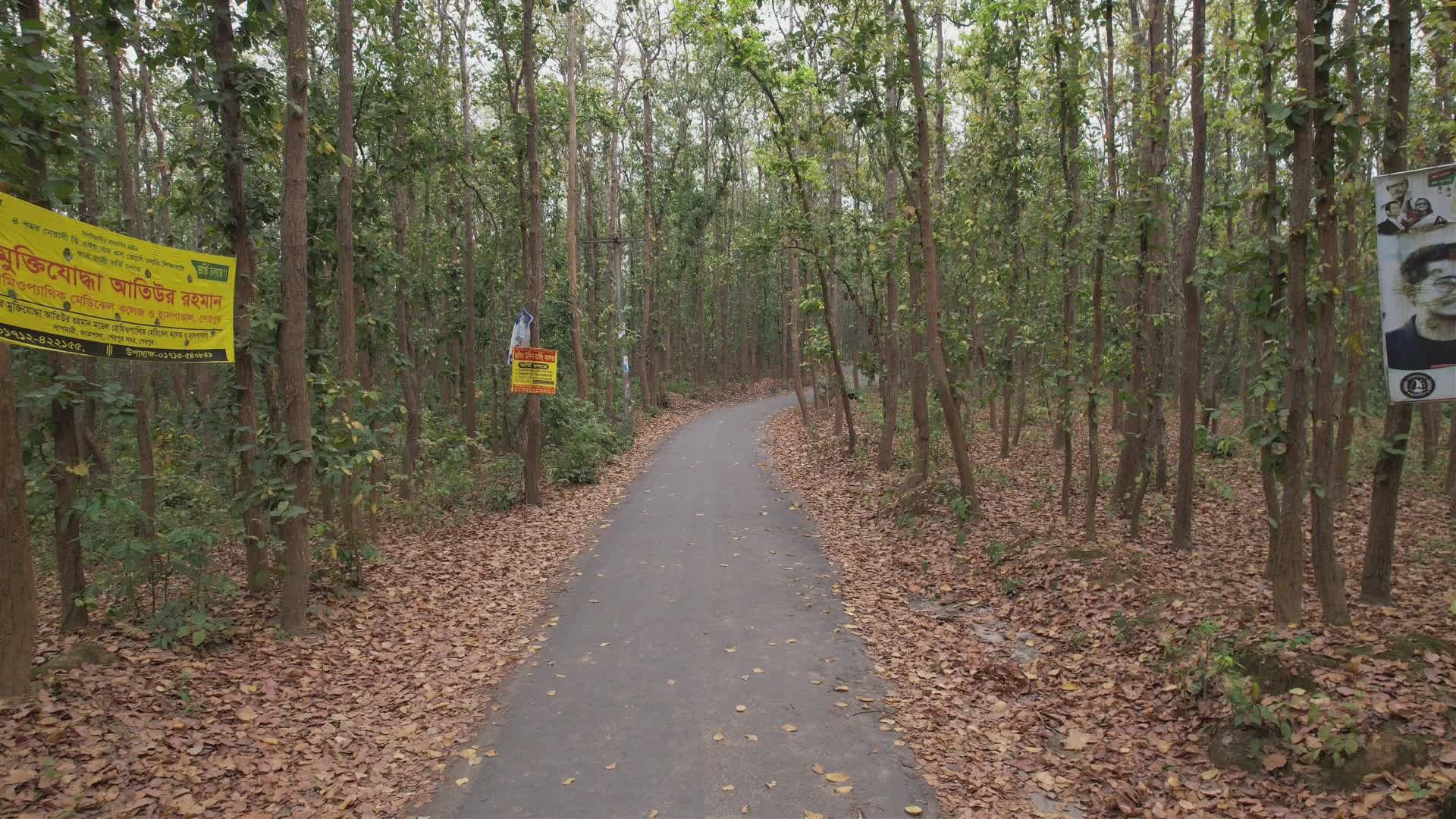 Scenic Drive through Modhutila Eco Park Free Stock Video Footage ...