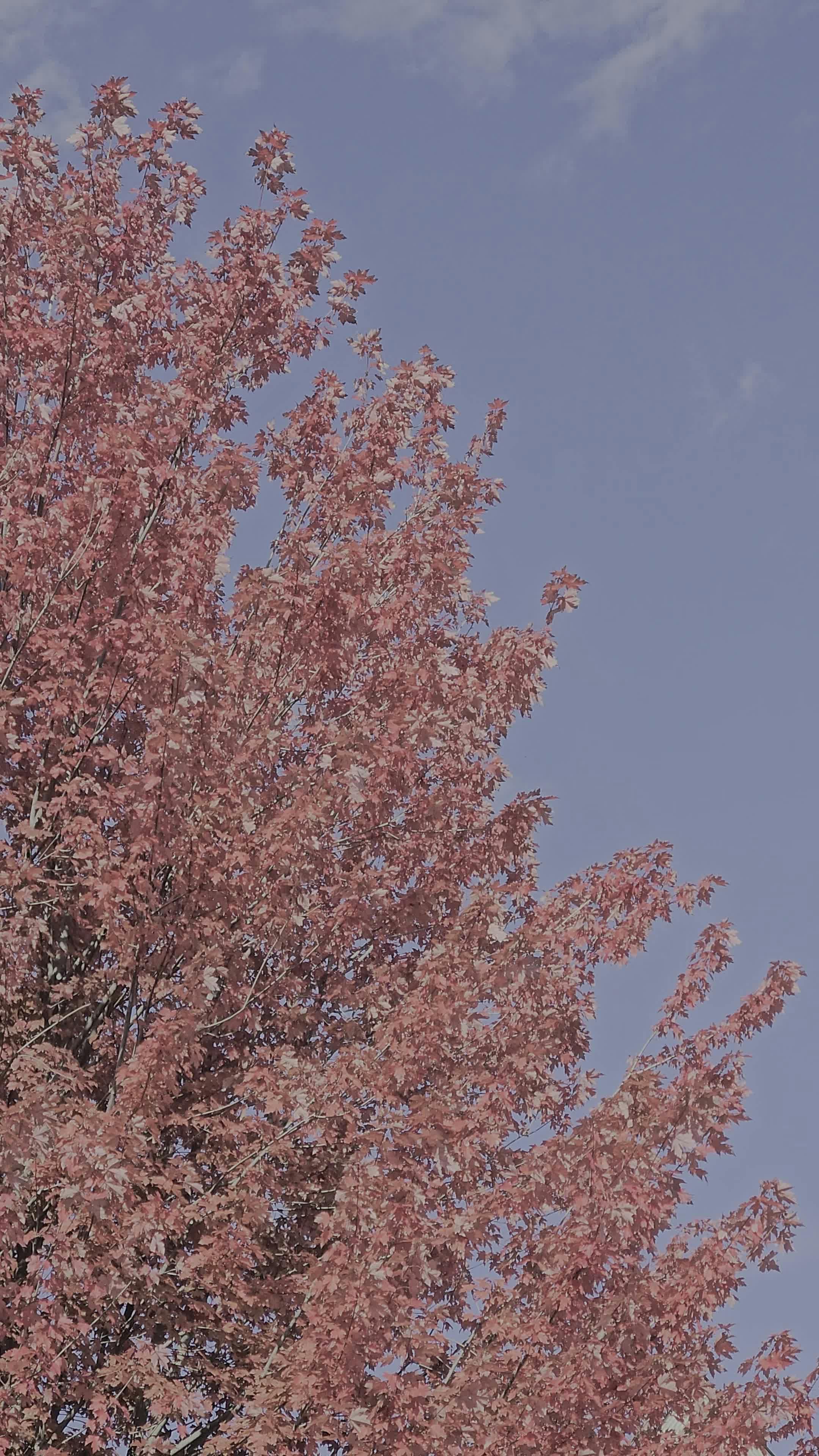 Hd+Swx Videos, Download The BEST Free 4k Stock Video Footage & Hd+Swx ...