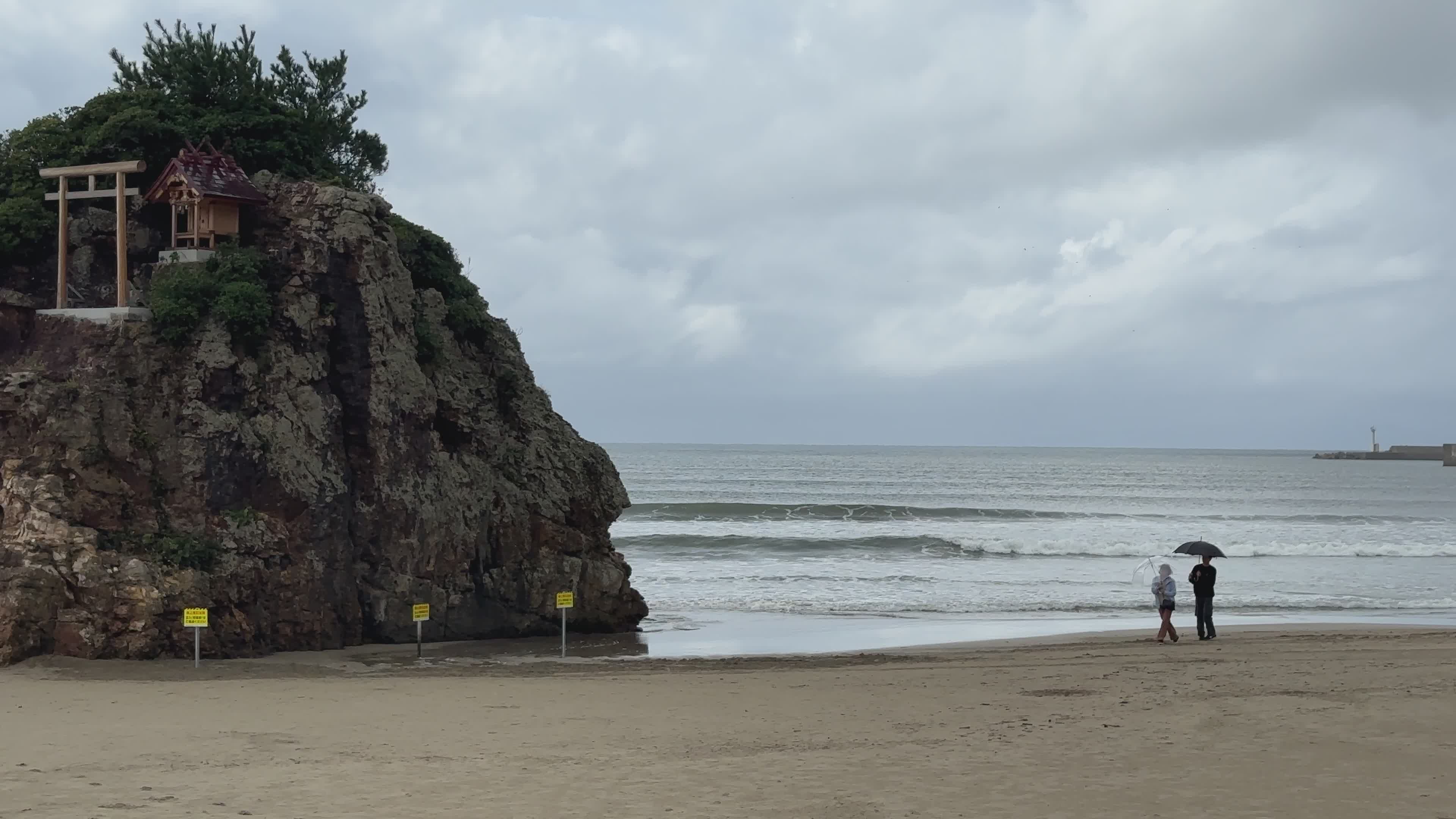 Japanese Flat Chested Videos Download The Best Free 4k Stock Video Footage And Japanese Flat