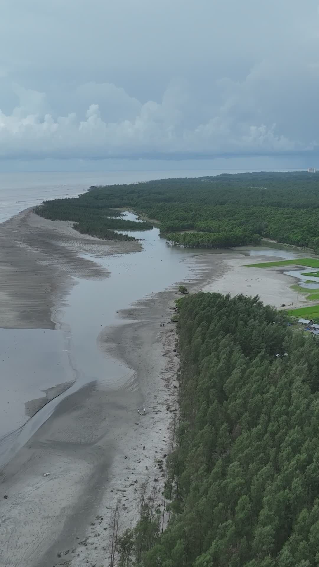 Aerial View of Scenic Kuakata Beach Free Stock Video Footage, Royalty ...