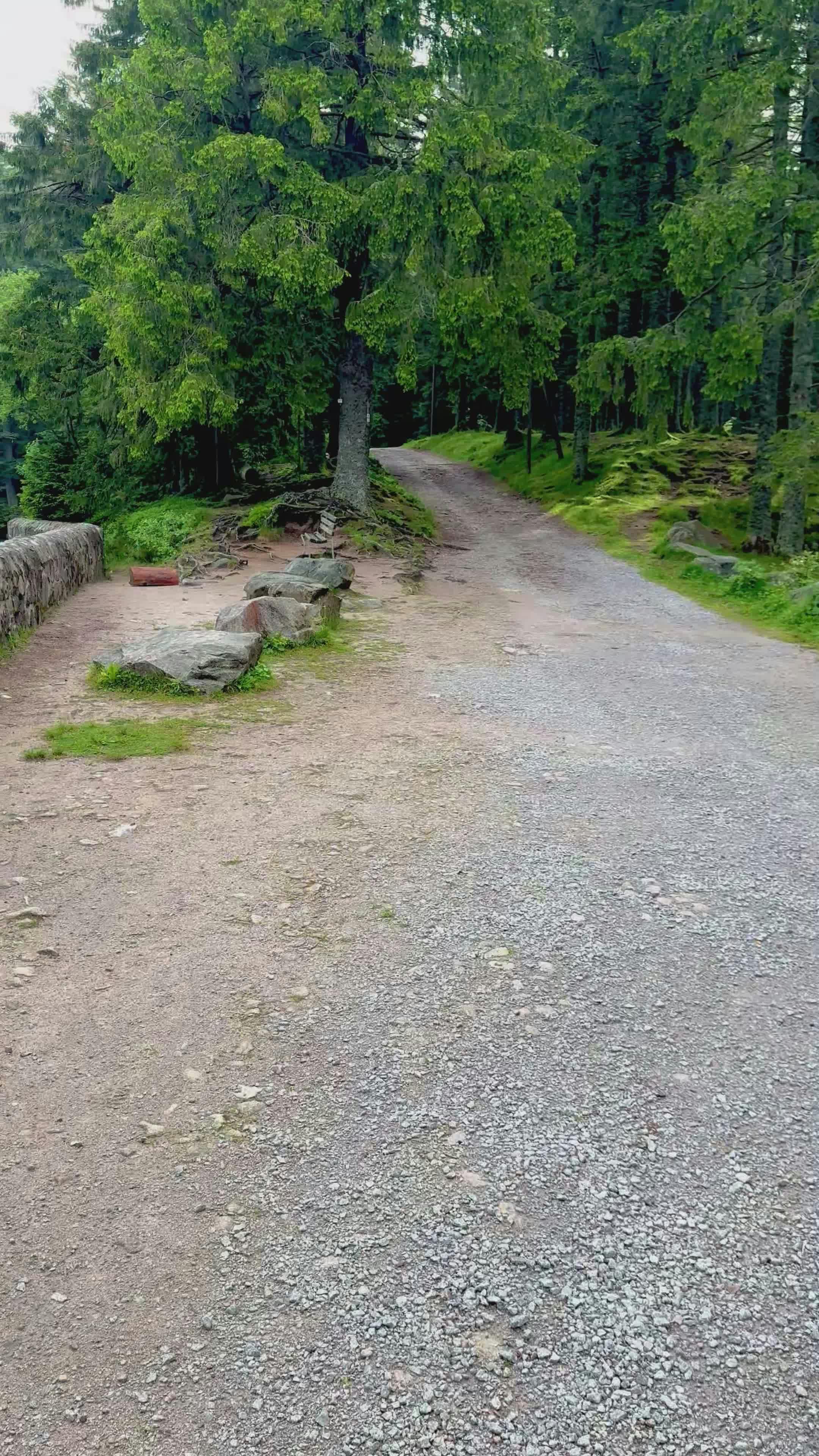 Vecchi+E+Giovani+Xxxx Videos, Download The BEST Free 4k Stock Video ...