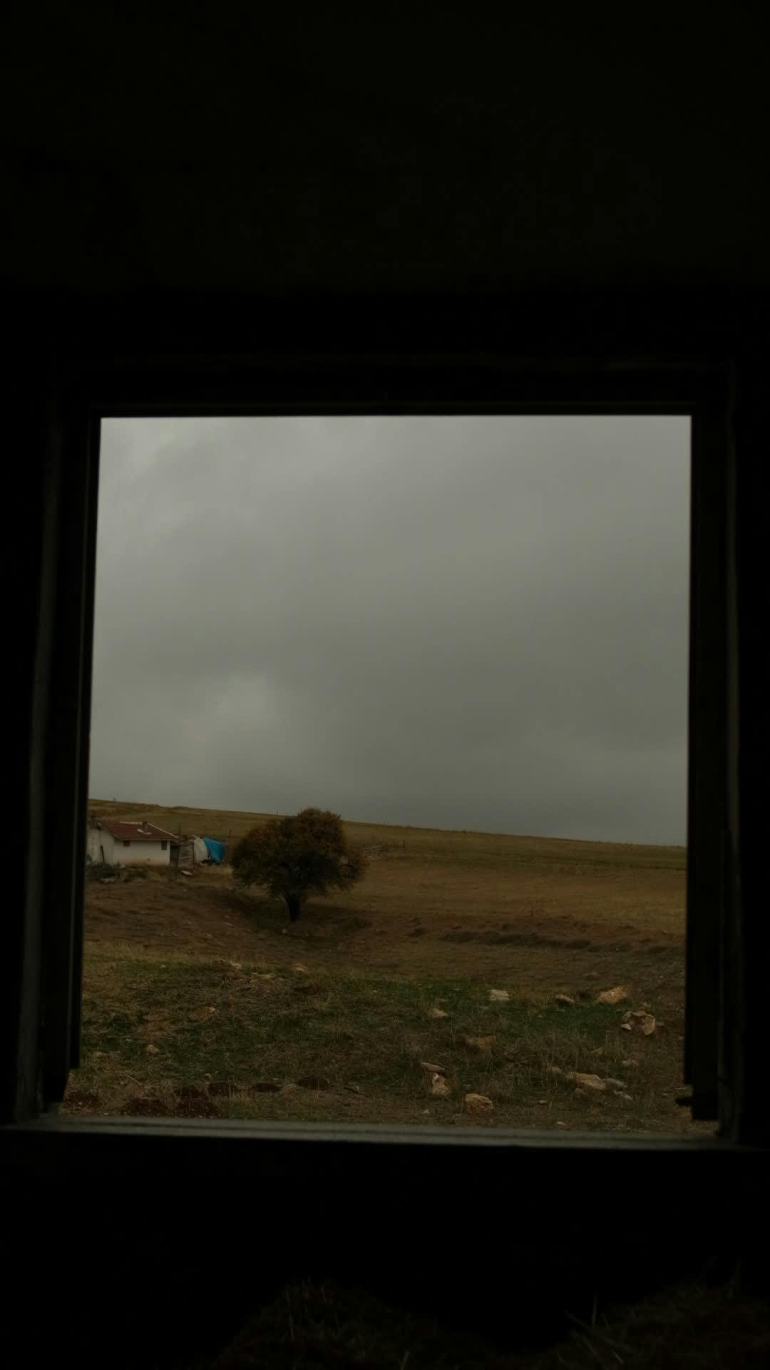 Free+Live+Wallpaper+Motion+Bgs Videos, Download The BEST Free 4k Stock ...