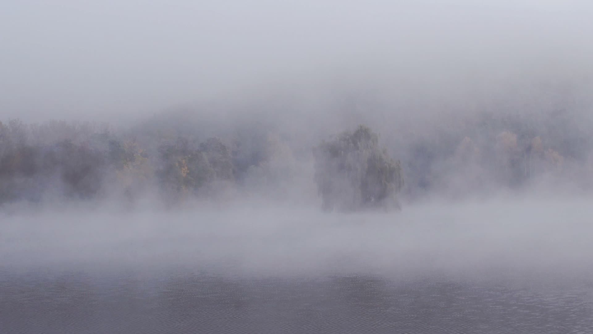 Lago Brumoso Con árboles Otoñales En Un Paisaje Brumoso · Vídeo de ...