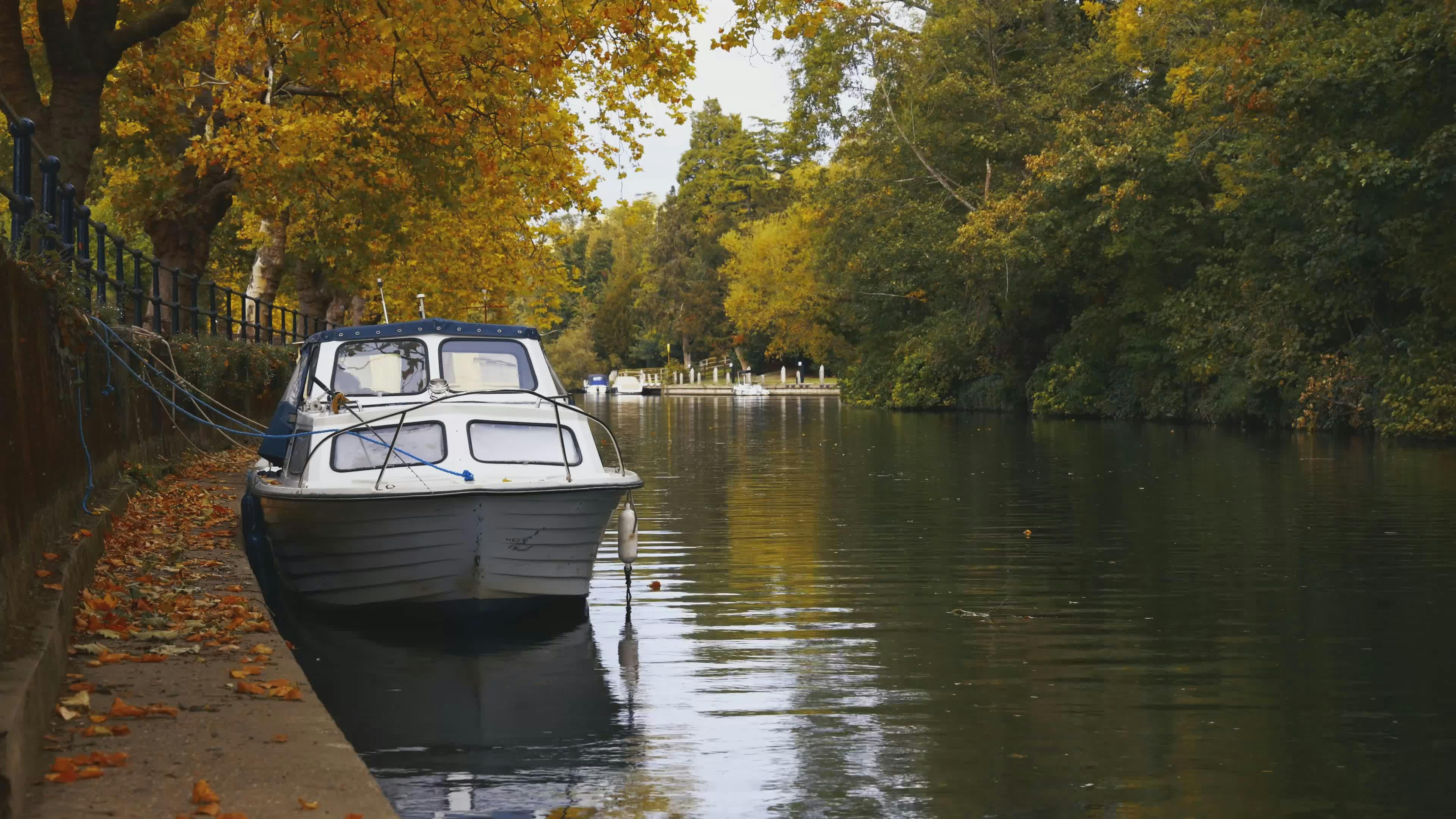 Video+Sixy Videos, Download The BEST Free 4k Stock Video Footage ...