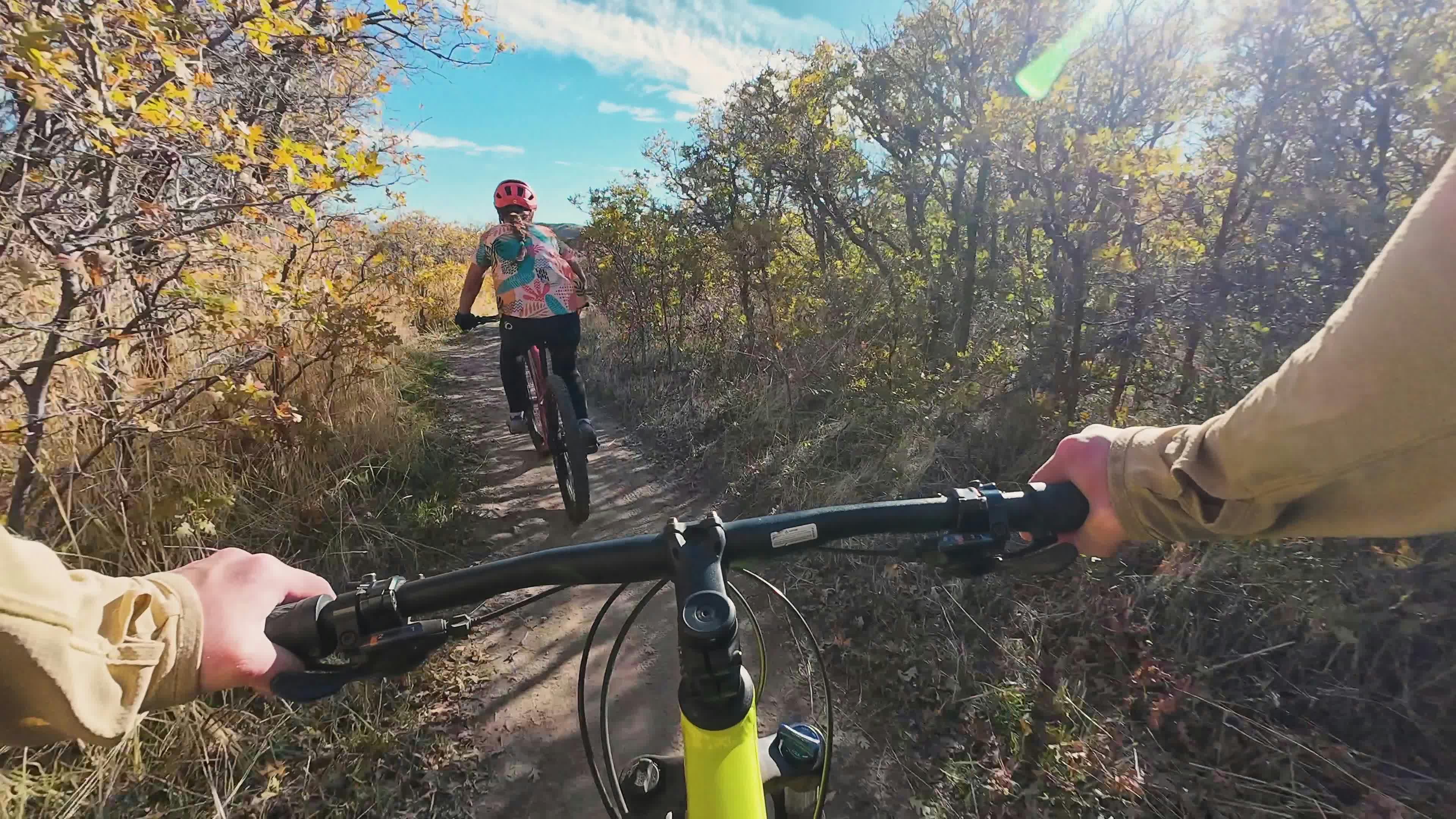 Girls+Fighting+Ripping+Clothes+Off Videos, Download The BEST Free 4k ...