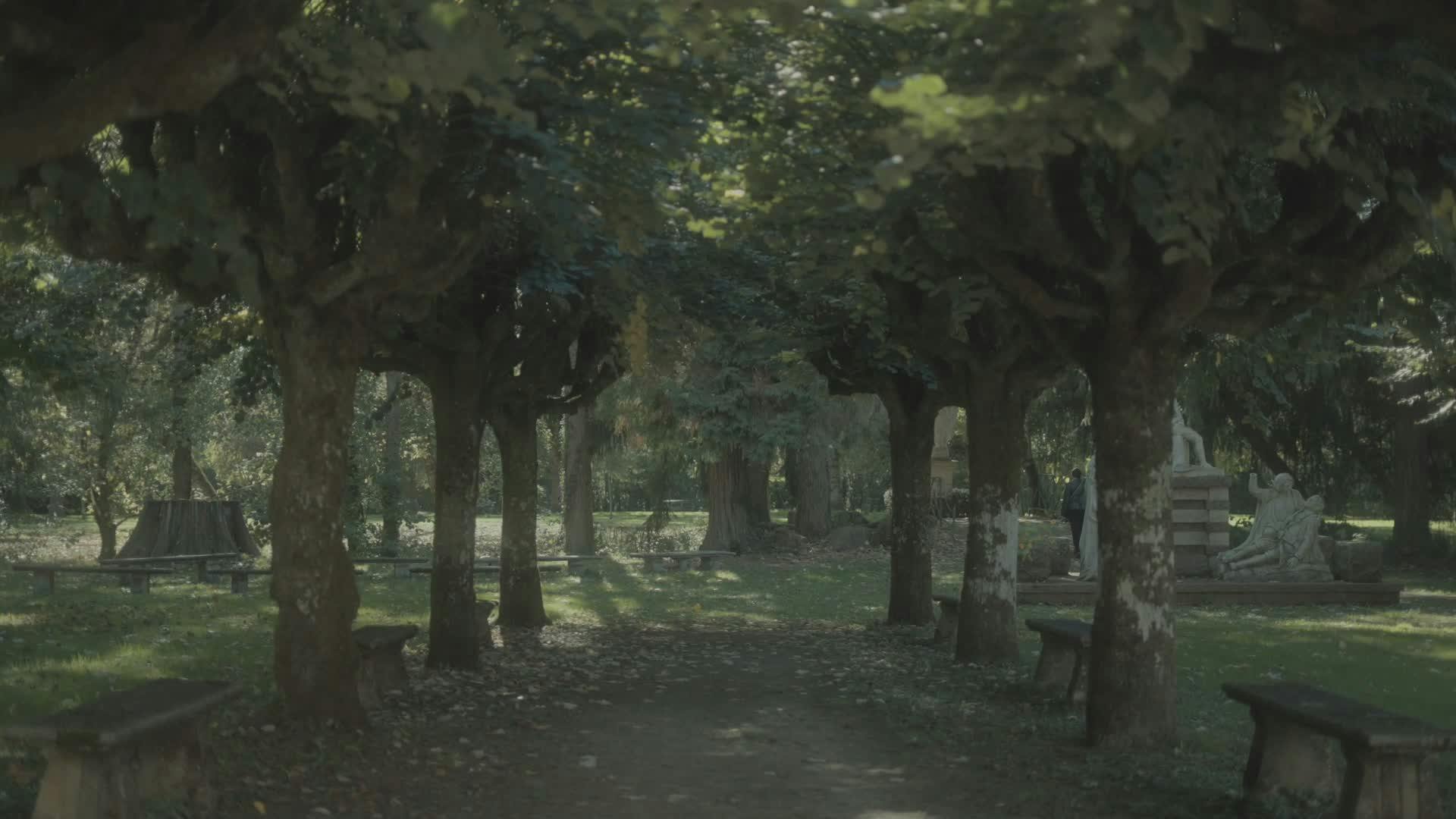 3x+Video Videos, Download The BEST Free 4k Stock Video Footage & 3x ...