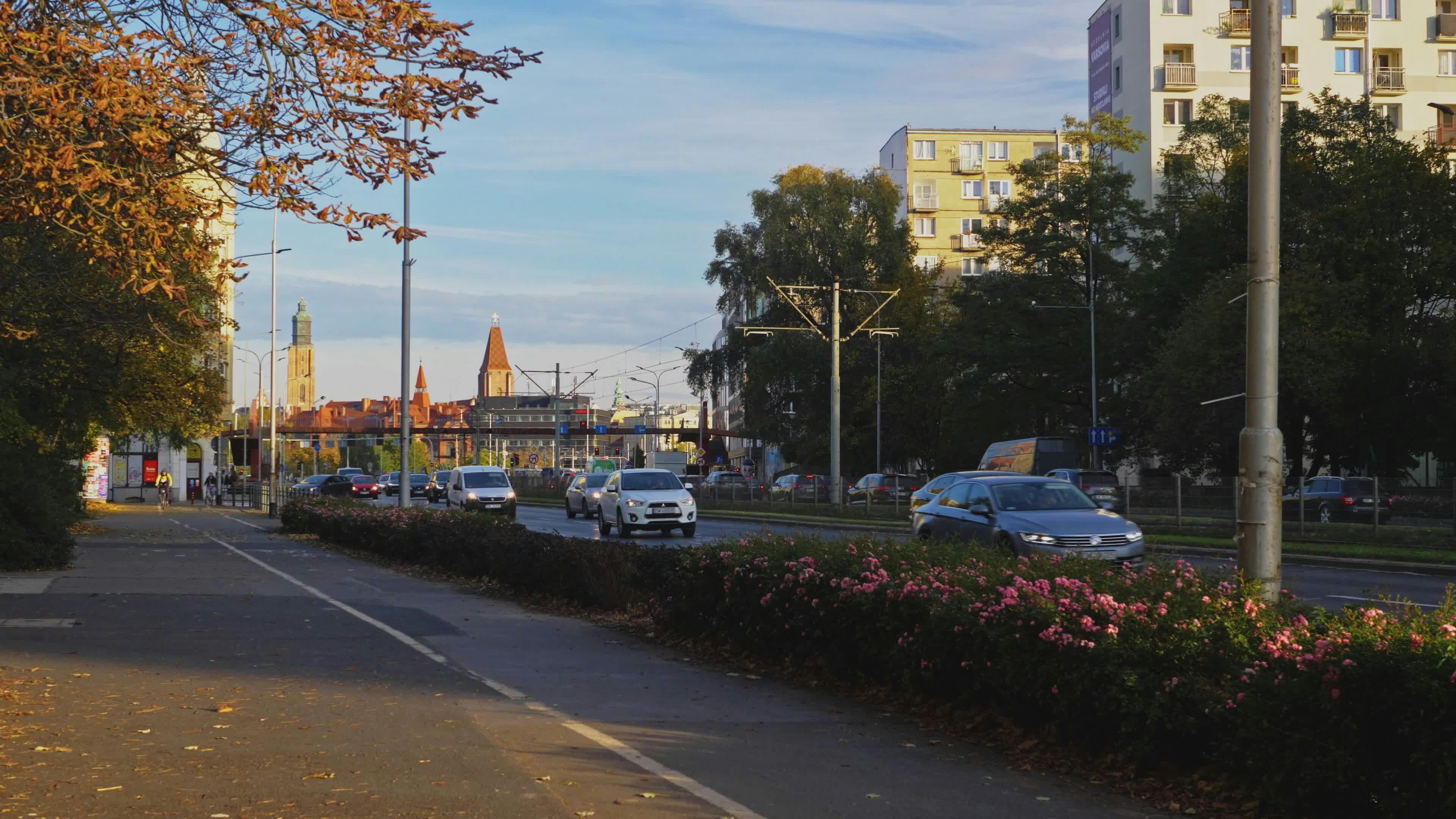 Latina+Scroller Videos, Download The BEST Free 4k Stock Video Footage ...