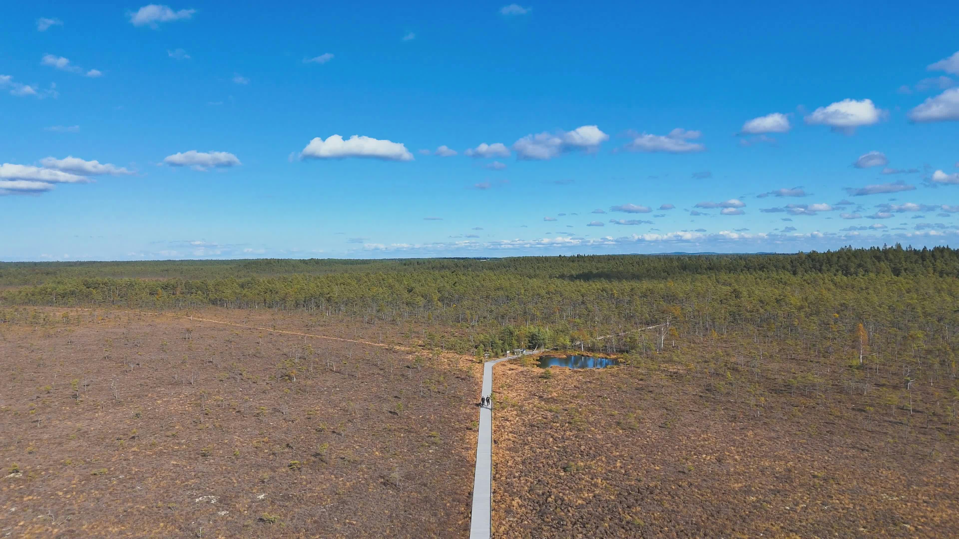 Veronica+Silesto+And+Her+Dog+In+A+Beastly+Video Videos, Download The ...