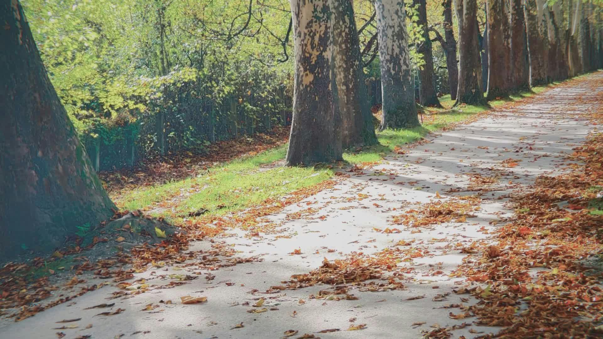 Squat+Riding+Compilation Videos, Download The BEST Free 4k Stock Video ...