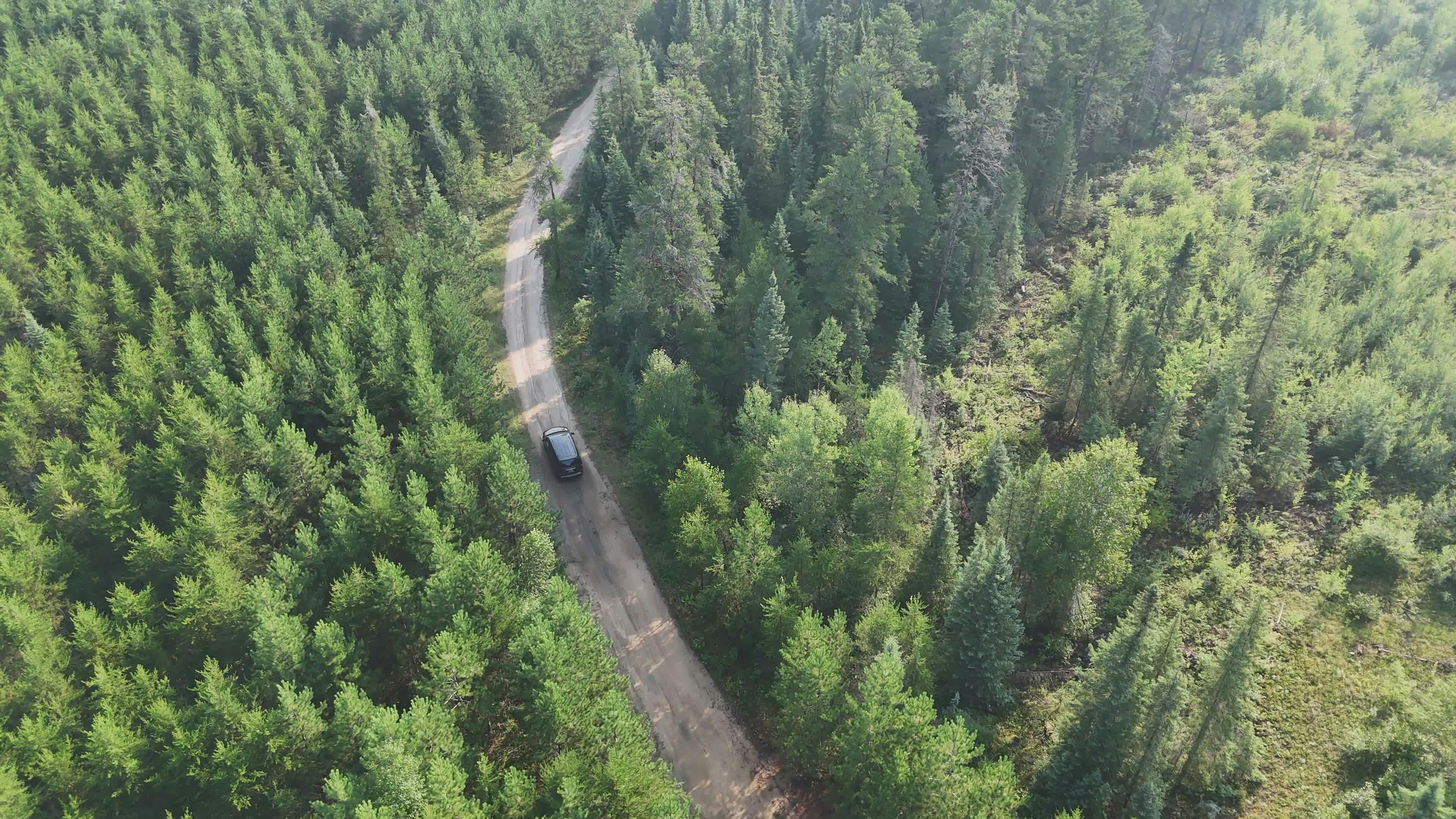 Beautiful+Women+Giving+Hand+Jobs+Gifs Videos, Download The BEST Free 4k ...