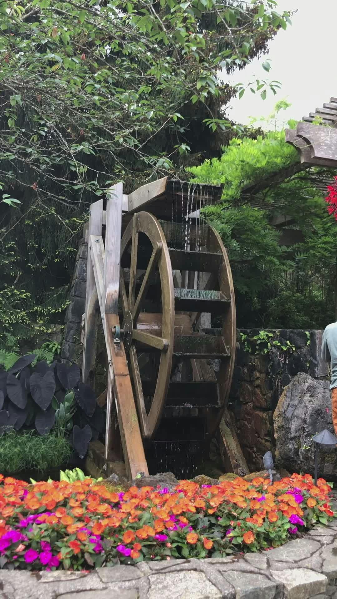Serene Garden Water Wheel with Vibrant Flowers Free Stock Video Footage ...