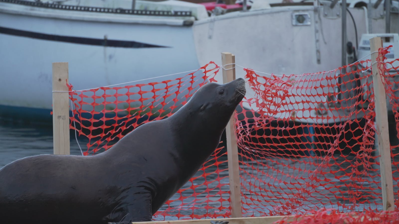 Down Blouse Videos, Download The BEST Free 4k Stock Video Footage ...