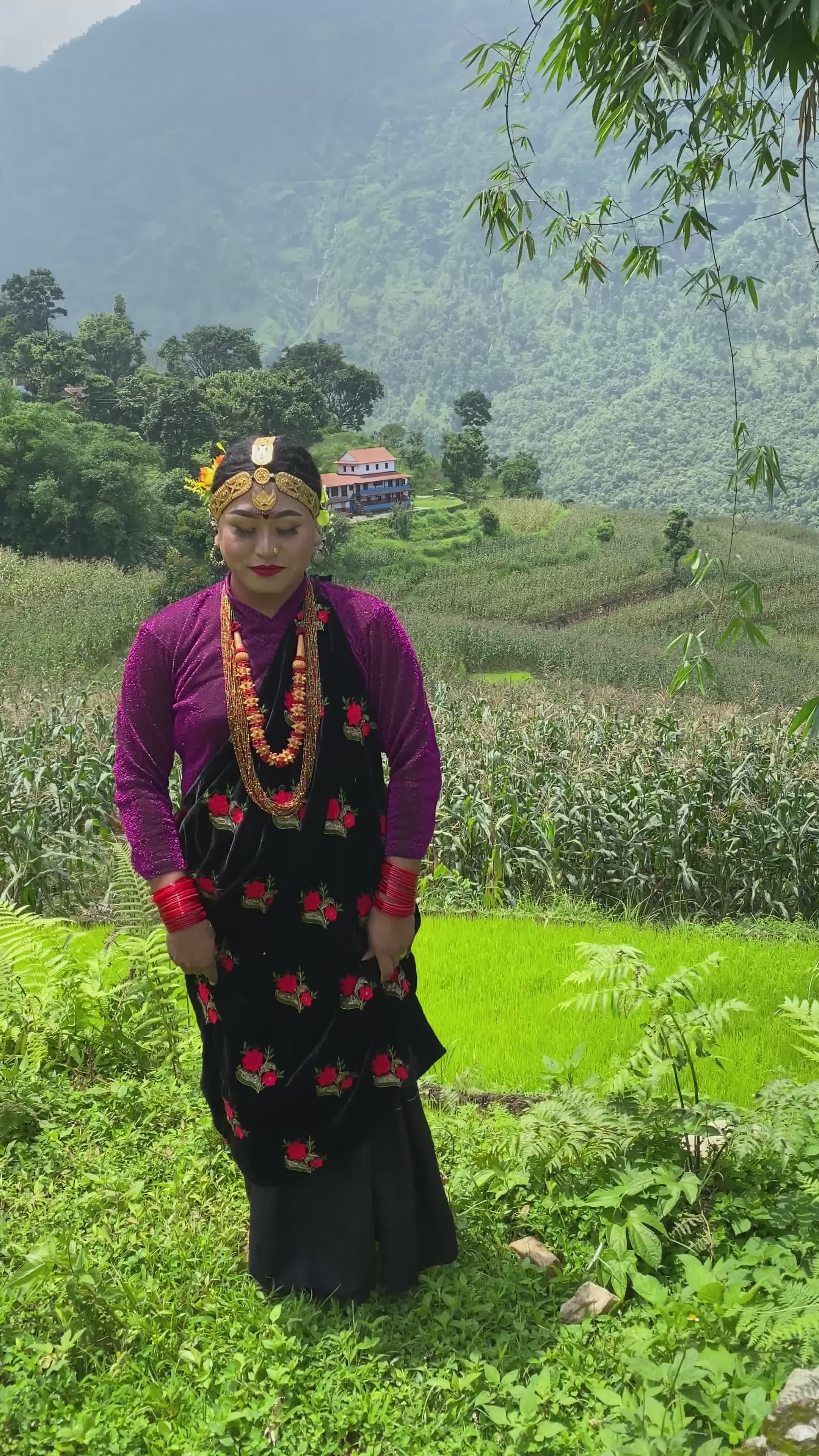 Traditional Dance in Himalayan Landscape Free Stock Video Footage ...