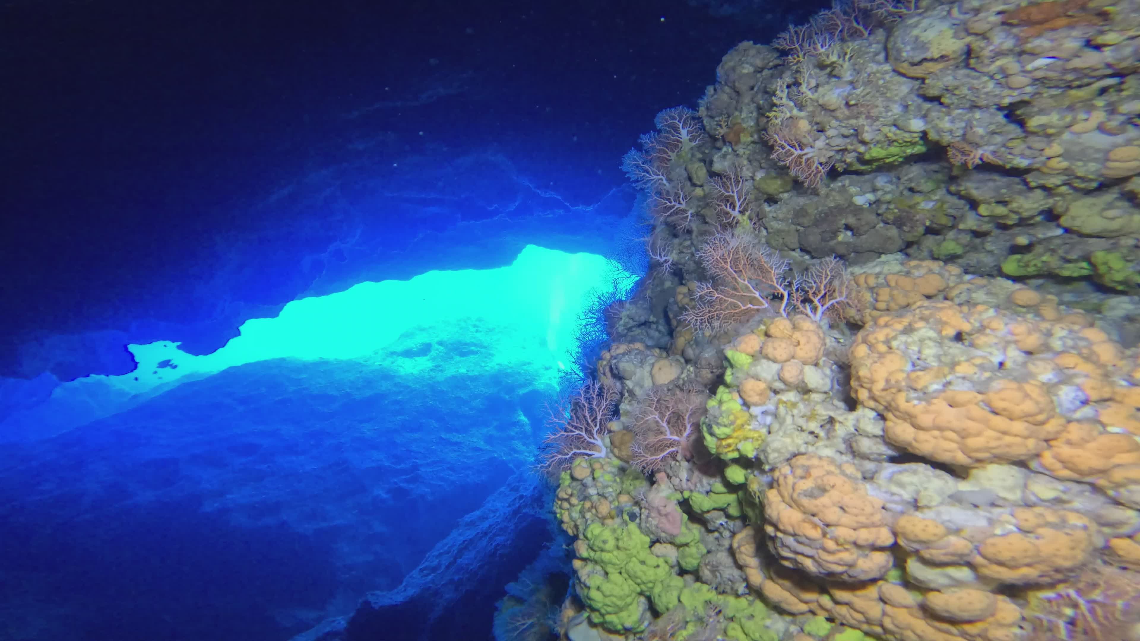 Underwater Coral Cave Exploration Footage Free Stock Video Footage ...