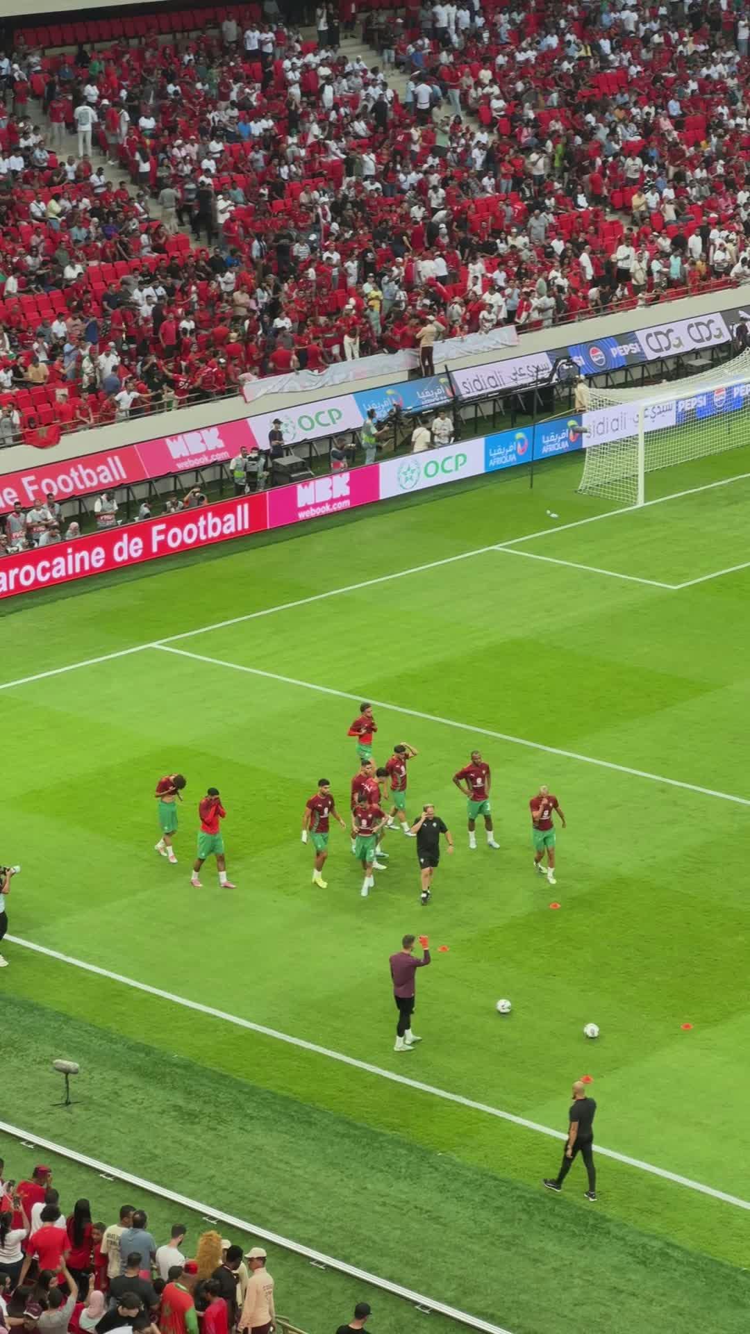 ^Pexels Videos, Download The BEST Free 4k Stock Video Footage & ^Pexels ...