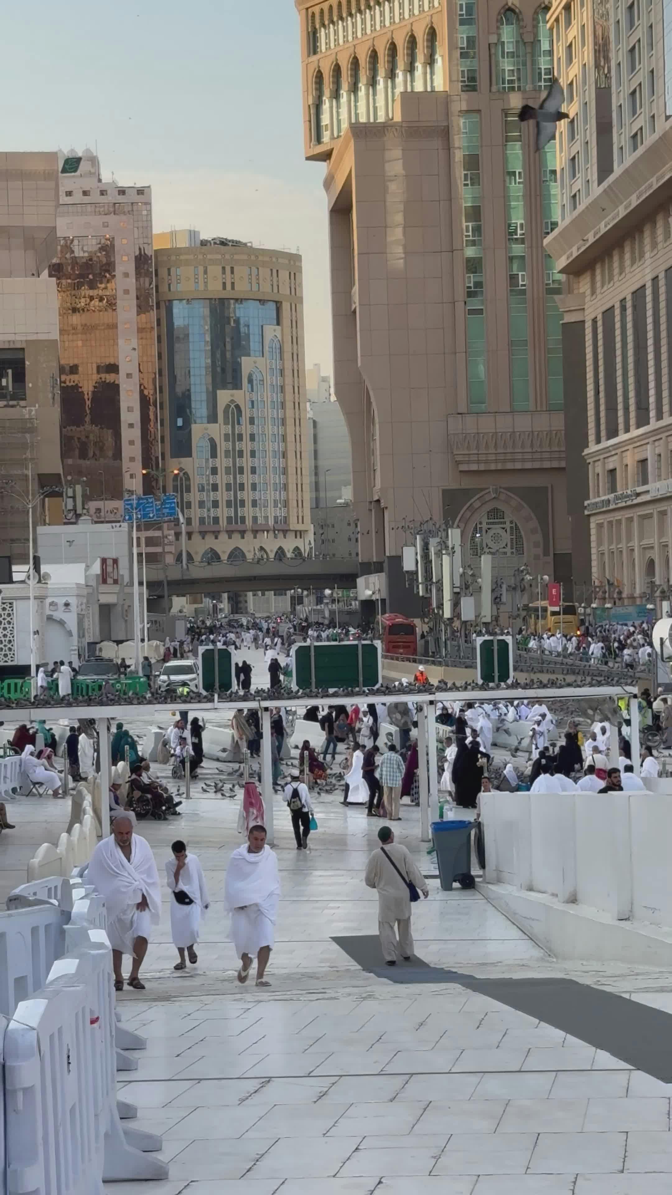 Lip+Kisses+Romance+Reels Videos, Download The BEST Free 4k Stock Video ...