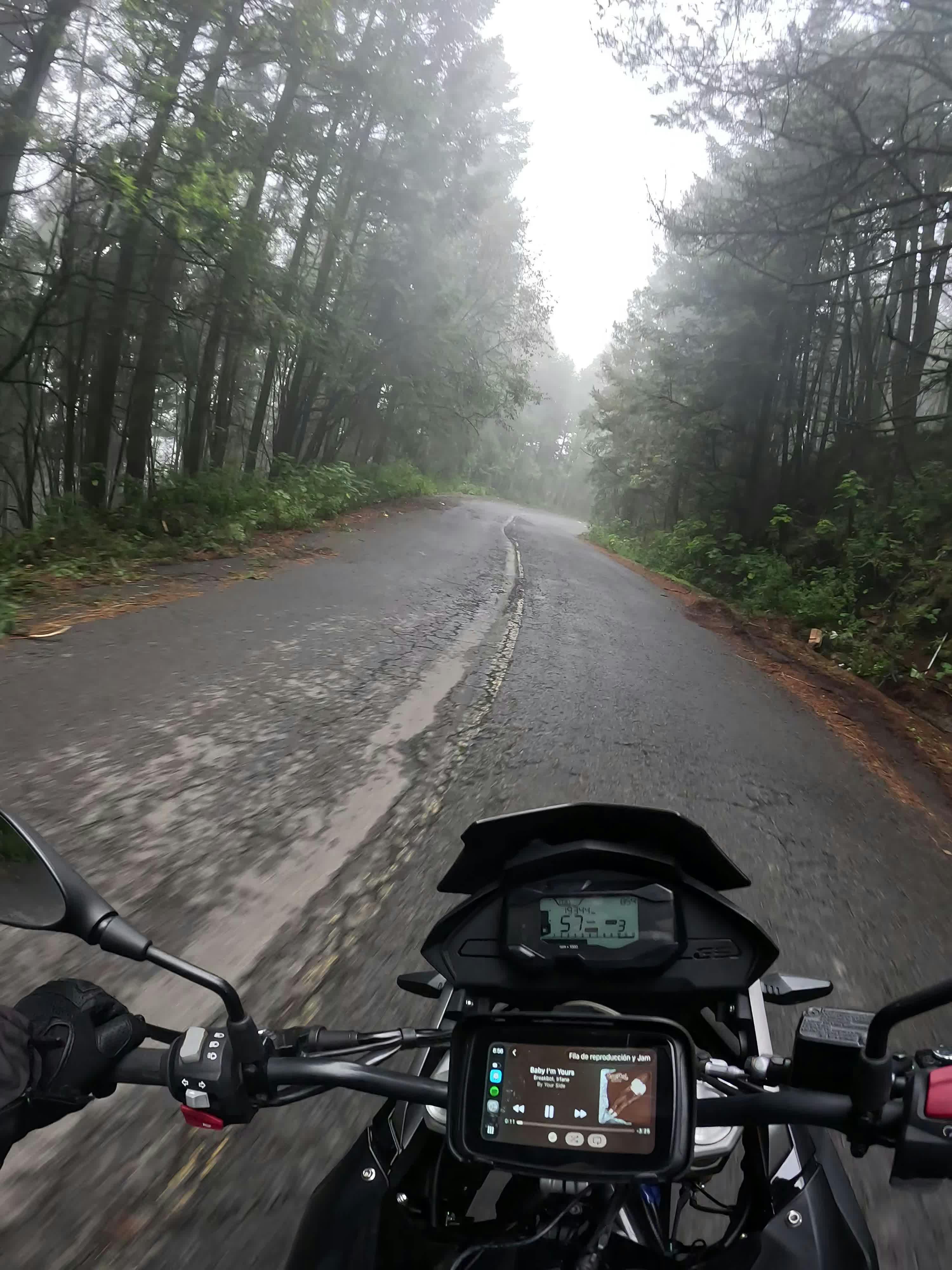 Human+Pony+Shoulder+Riding+Videos Videos, Download The BEST Free 4k ...