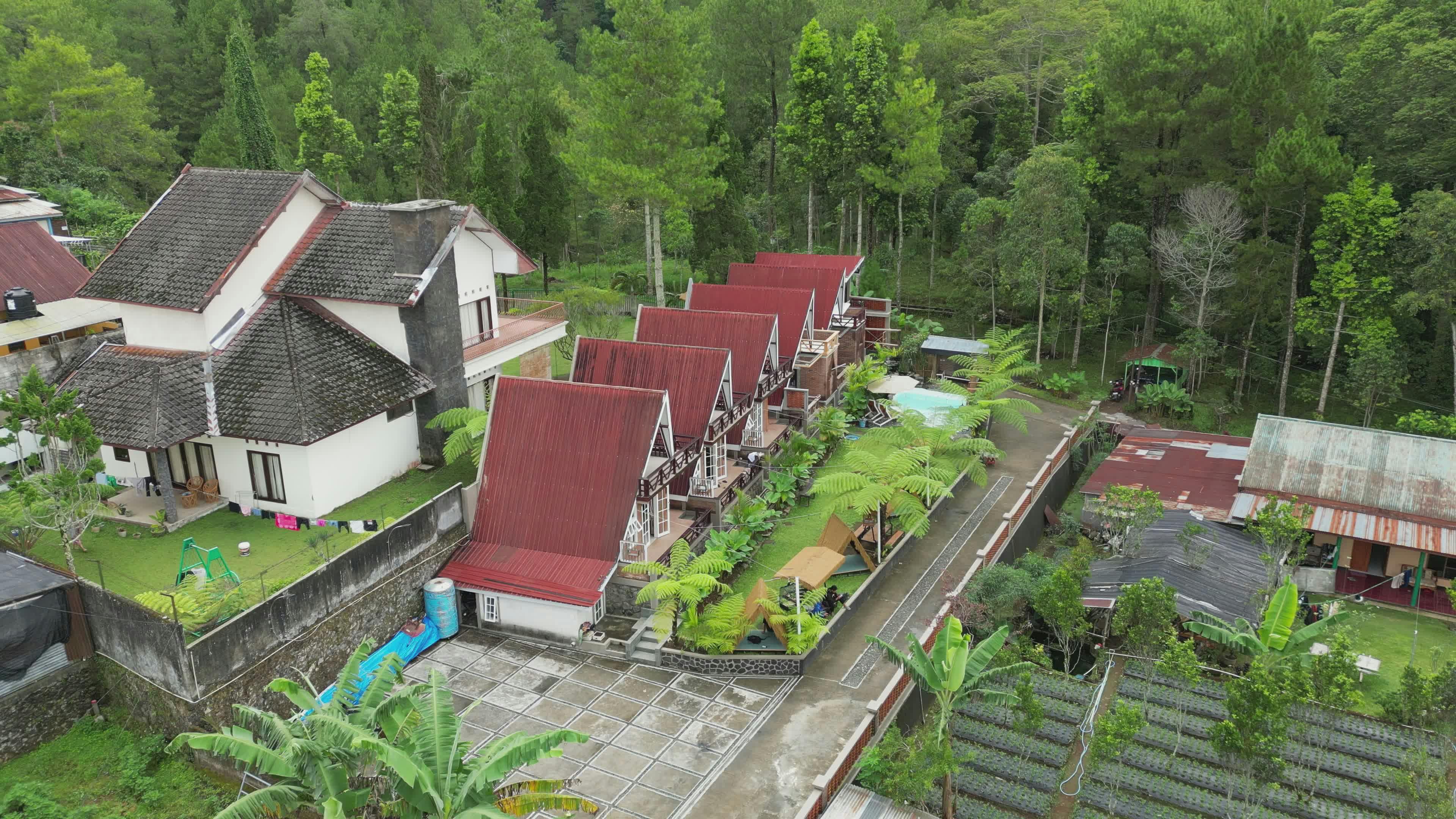 Pemandangan Udara Rumah Tradisional Atap Merah Di Hutan Hijau · Video ...