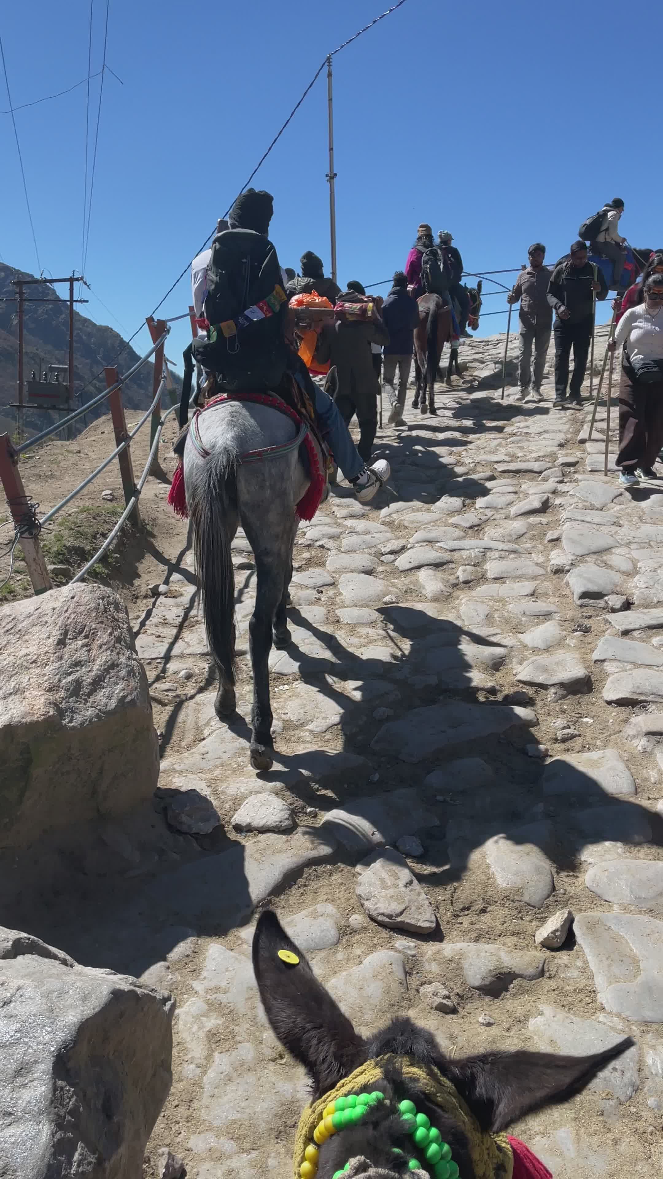Mountain Trekking on Mule Pathway in Himalayas Free Stock Video Footage ...