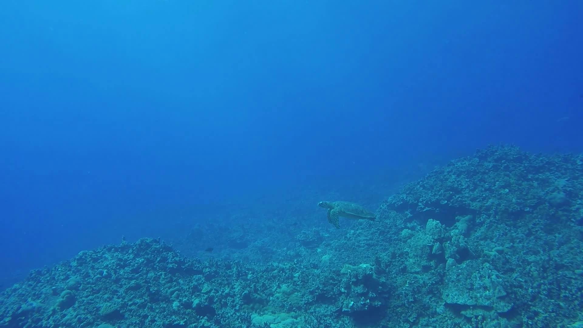 Intro Hd Videos, Download The BEST Free 4k Stock Video Footage & Intro ...