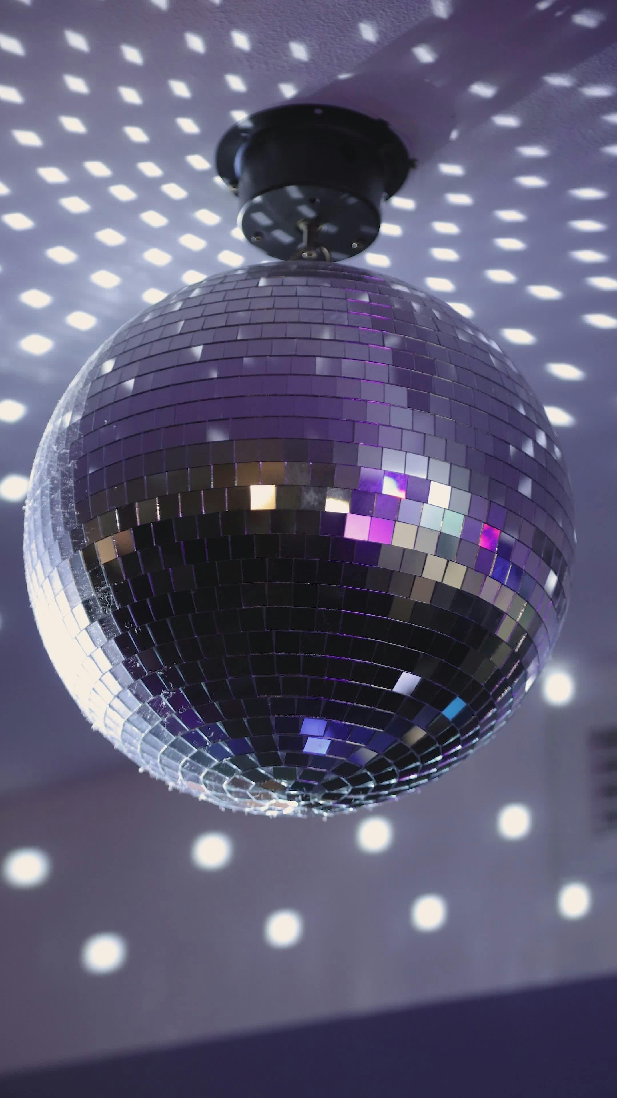 Dancing+Bear+Compilation Videos, Download The BEST Free 4k Stock Video ...