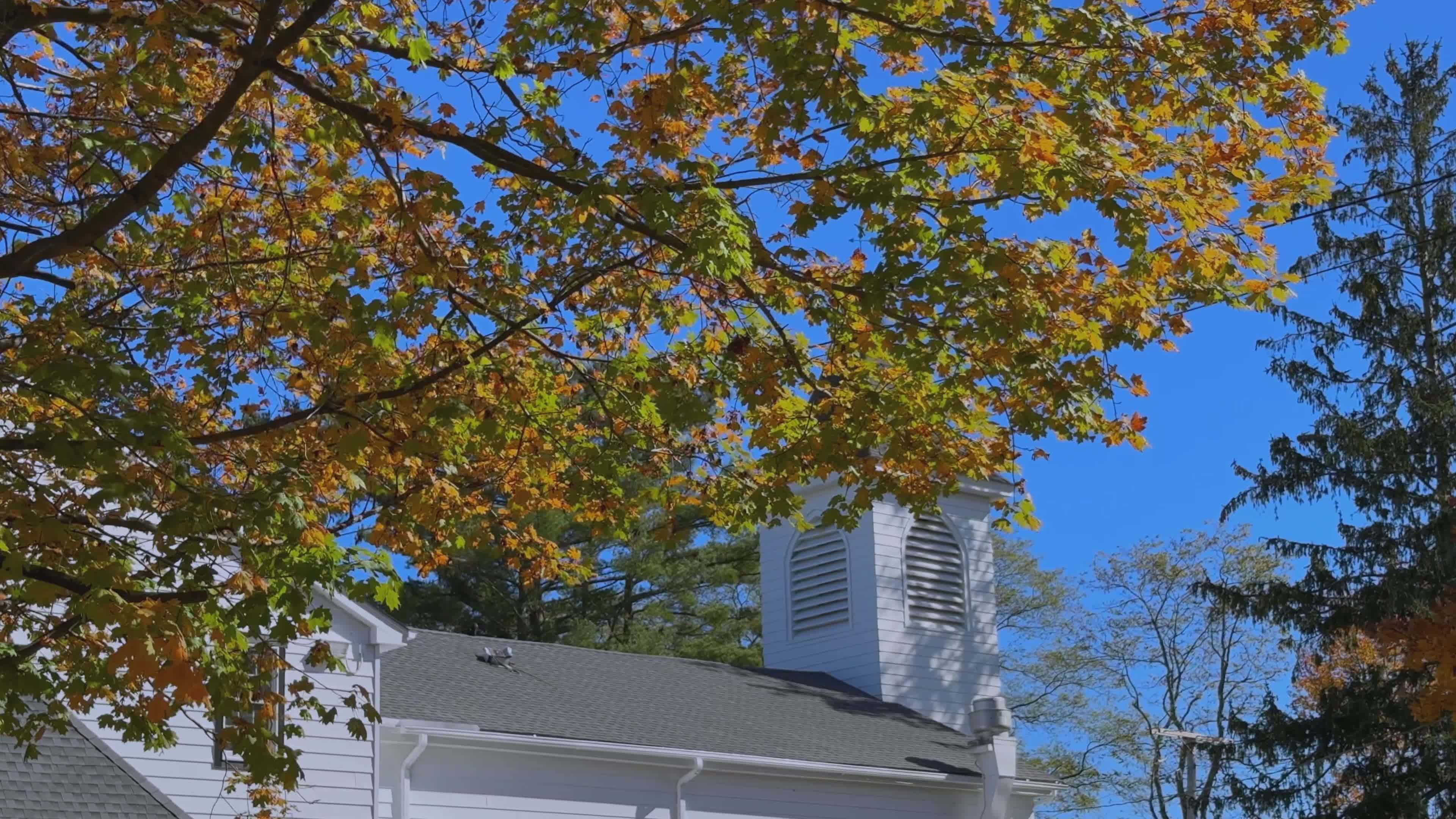 Charming Church Amidst Autumn Foliage Free Stock Video Footage, Royalty ...