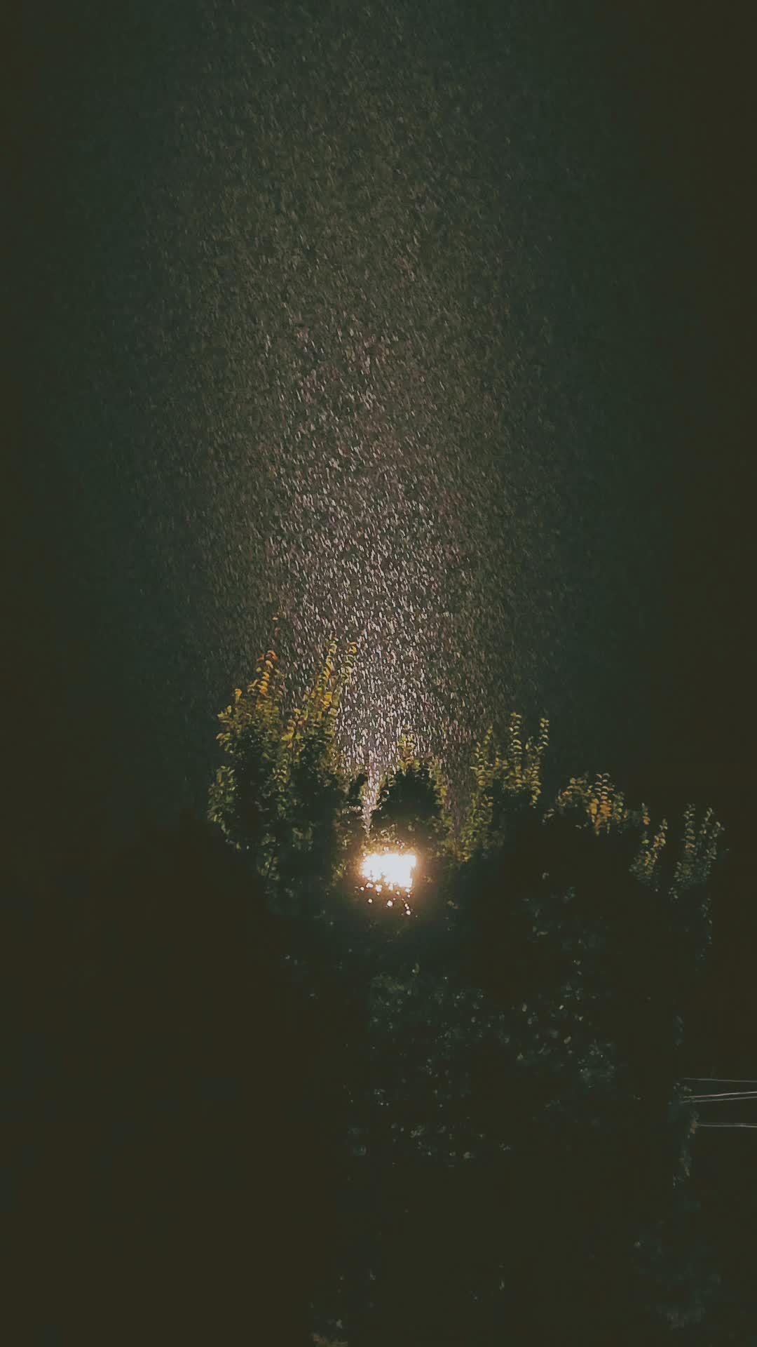 Night Rainfall Illuminated by Streetlight Free Stock Video Footage ...