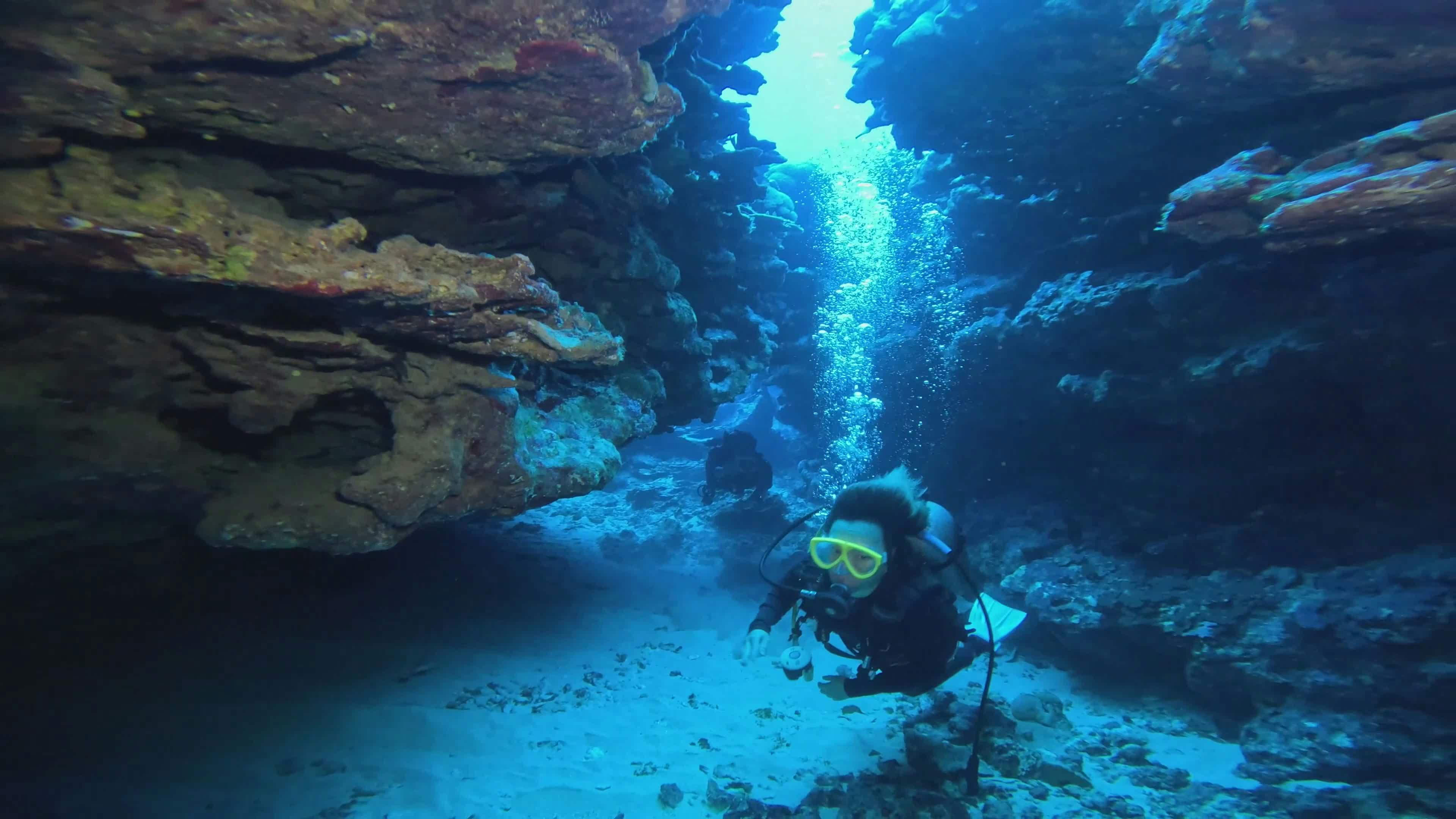 Scuba Diving Adventure in Underwater Canyon Free Stock Video Footage ...
