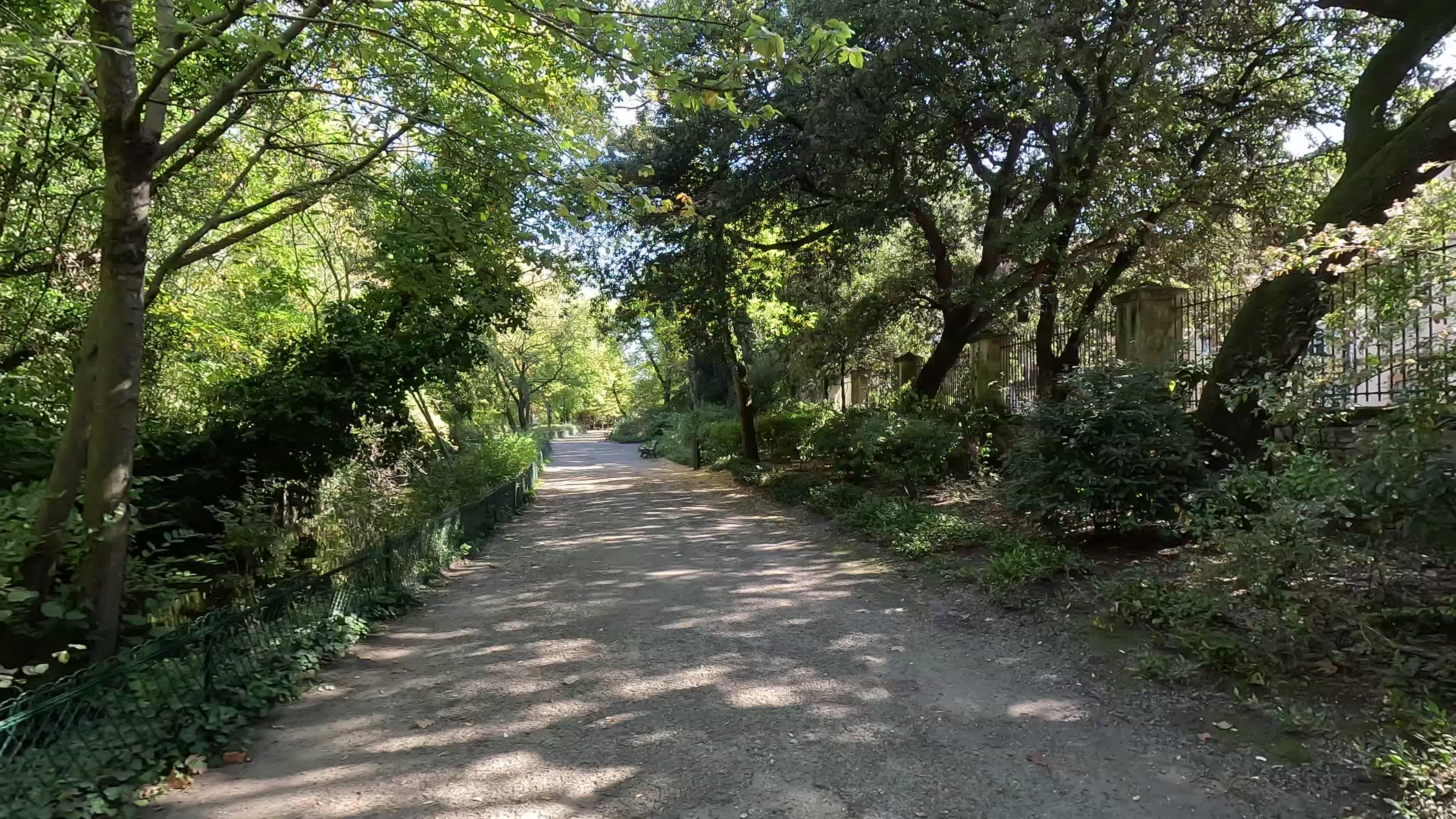Sendero Panorámico A Través De Un Exuberante Parque Verde · Vídeo de ...