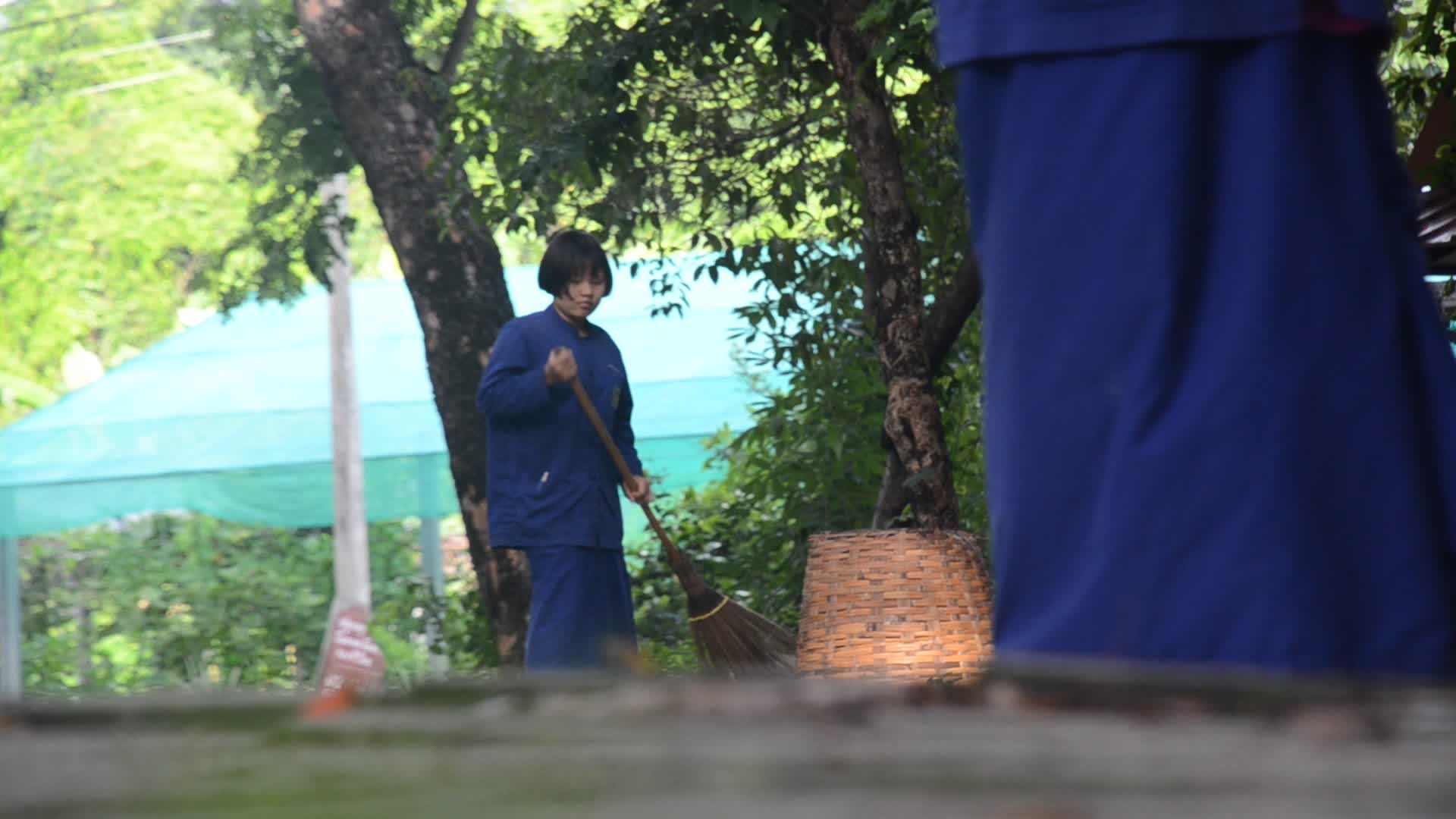 Person Sweeping Outdoors in Lush Green Setting Free Stock Video Footage ...