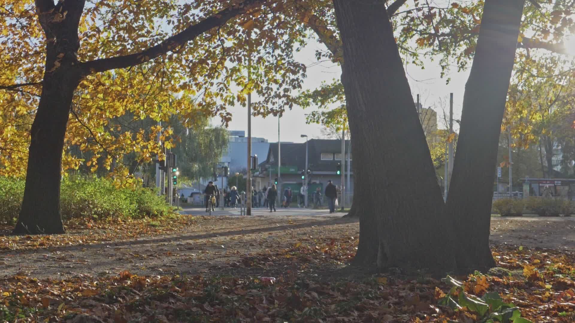 Light & Shade Videos, Download The BEST Free 4k Stock Video Footage ...