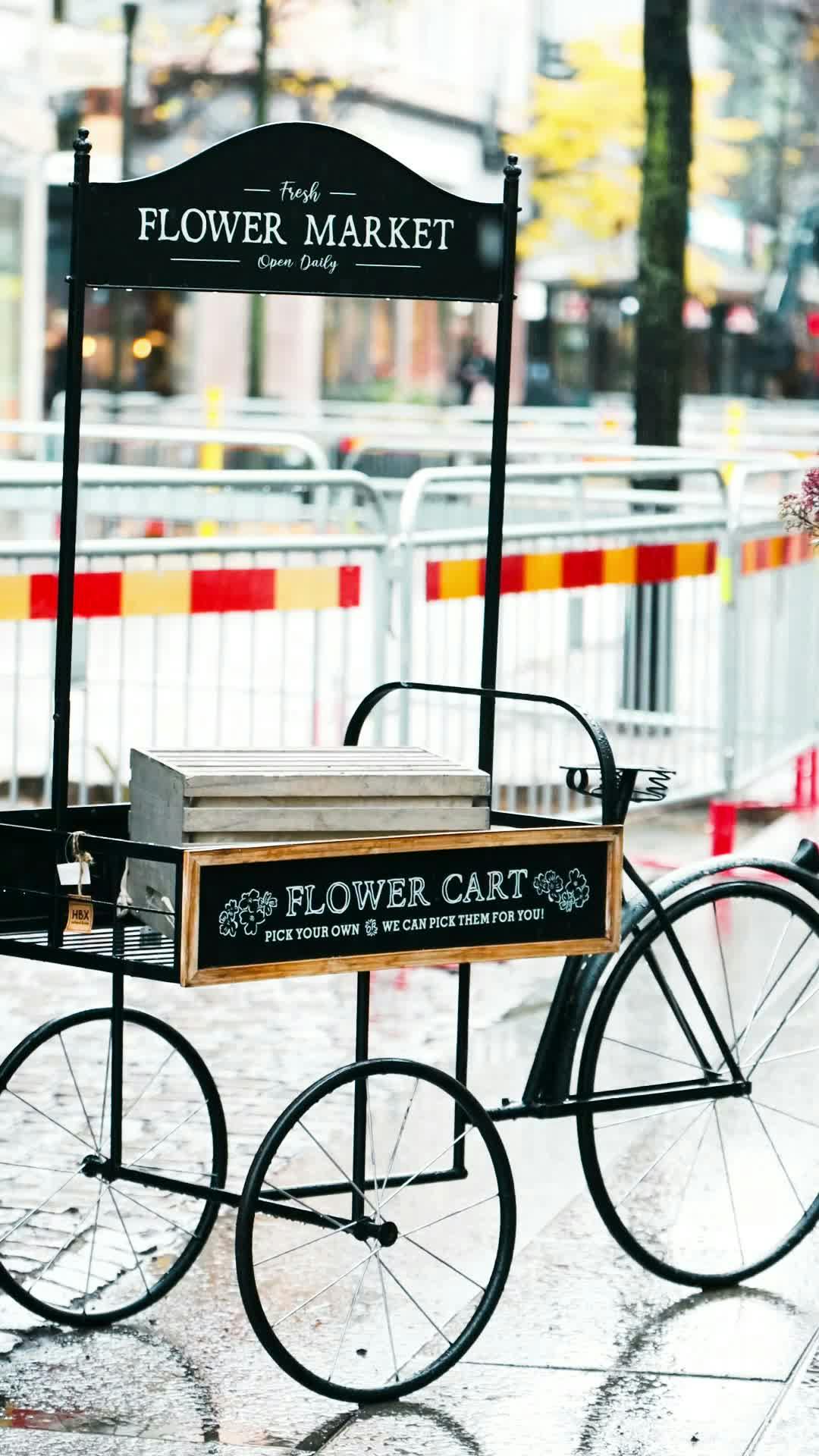 Hd+Srx+Video Videos, Download The BEST Free 4k Stock Video Footage & Hd ...