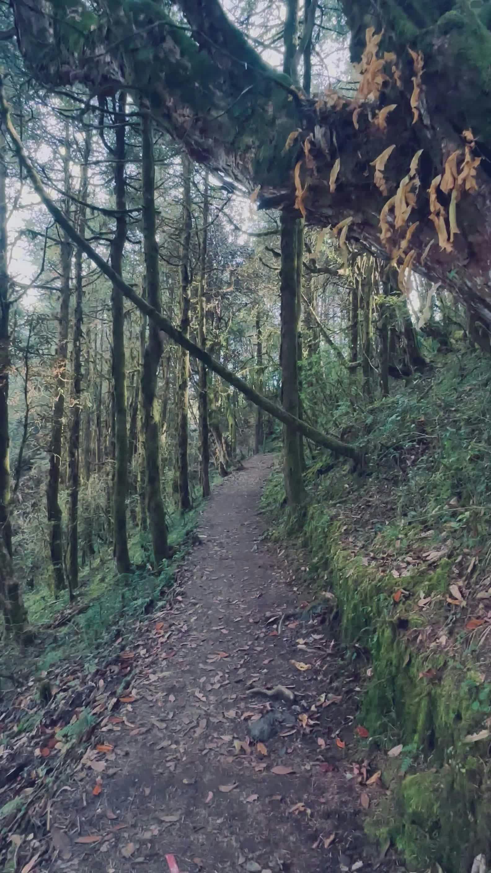 Fapadoo+Download Videos, Download The BEST Free 4k Stock Video Footage ...