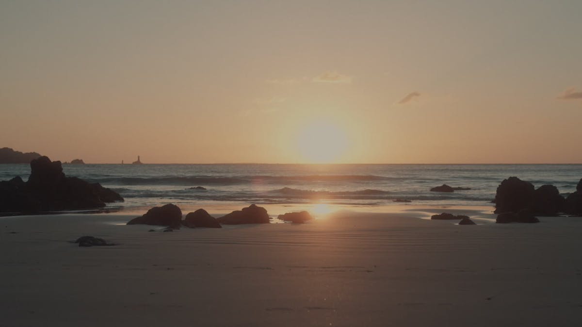 Live Wallpaper Of Nature For Free 4k Videos, Download The BEST Free 4k ...