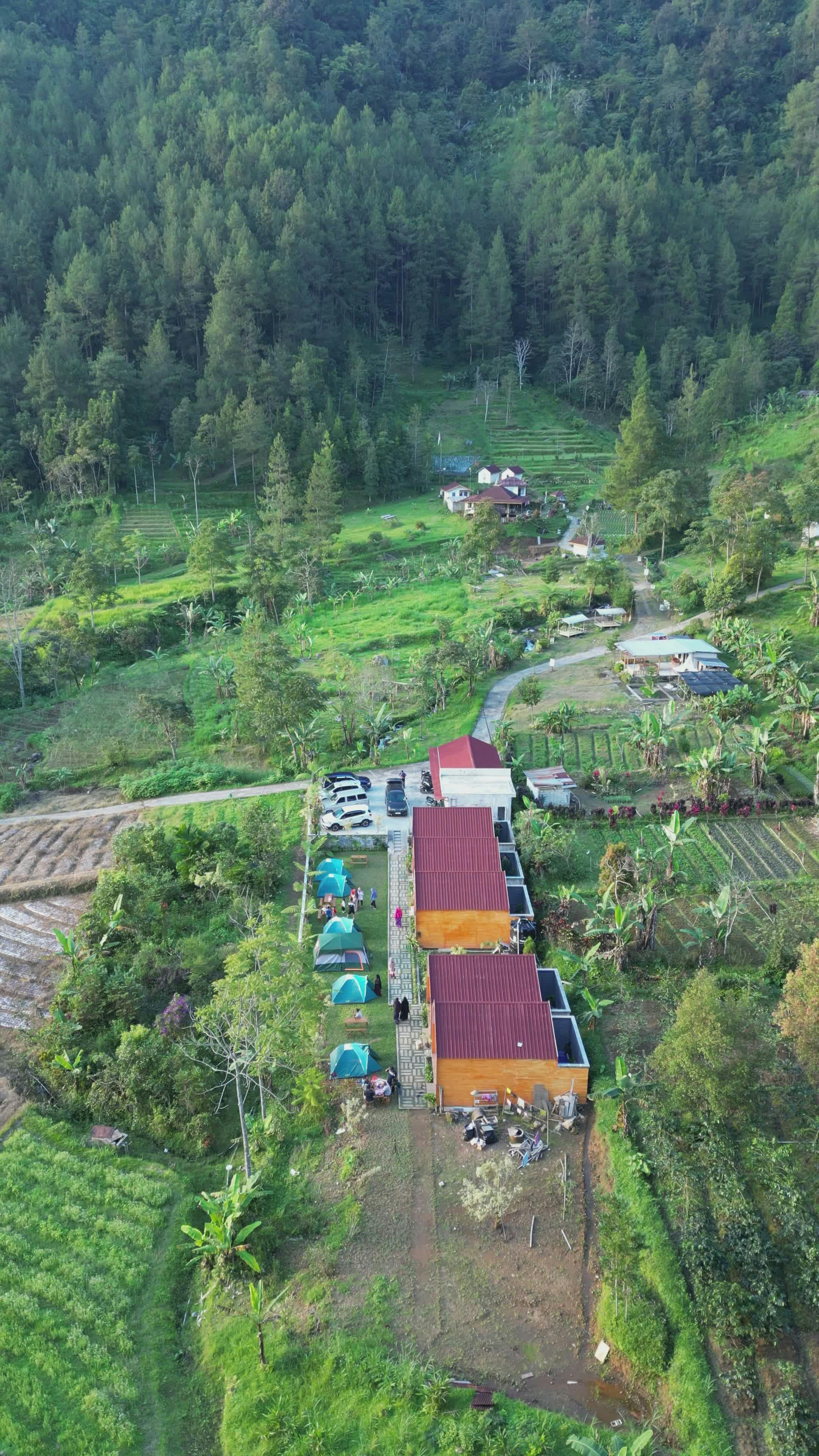 Teen+Boys+Jacking+Off Videos, Download The BEST Free 4k Stock Video ...