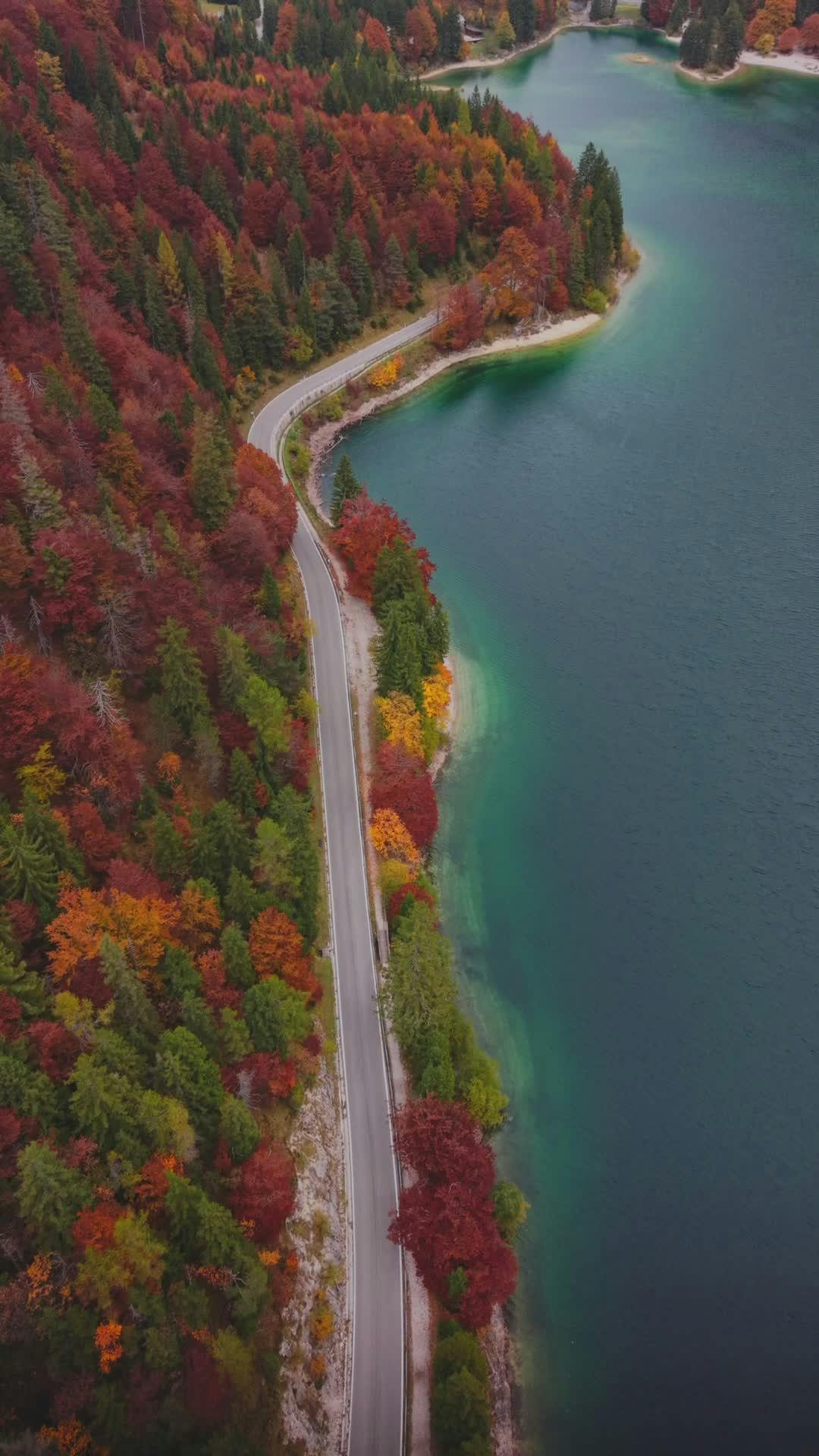 Screen Saver Videos, Download The BEST Free 4k Stock Video Footage & Screen Saver HD Video Clips