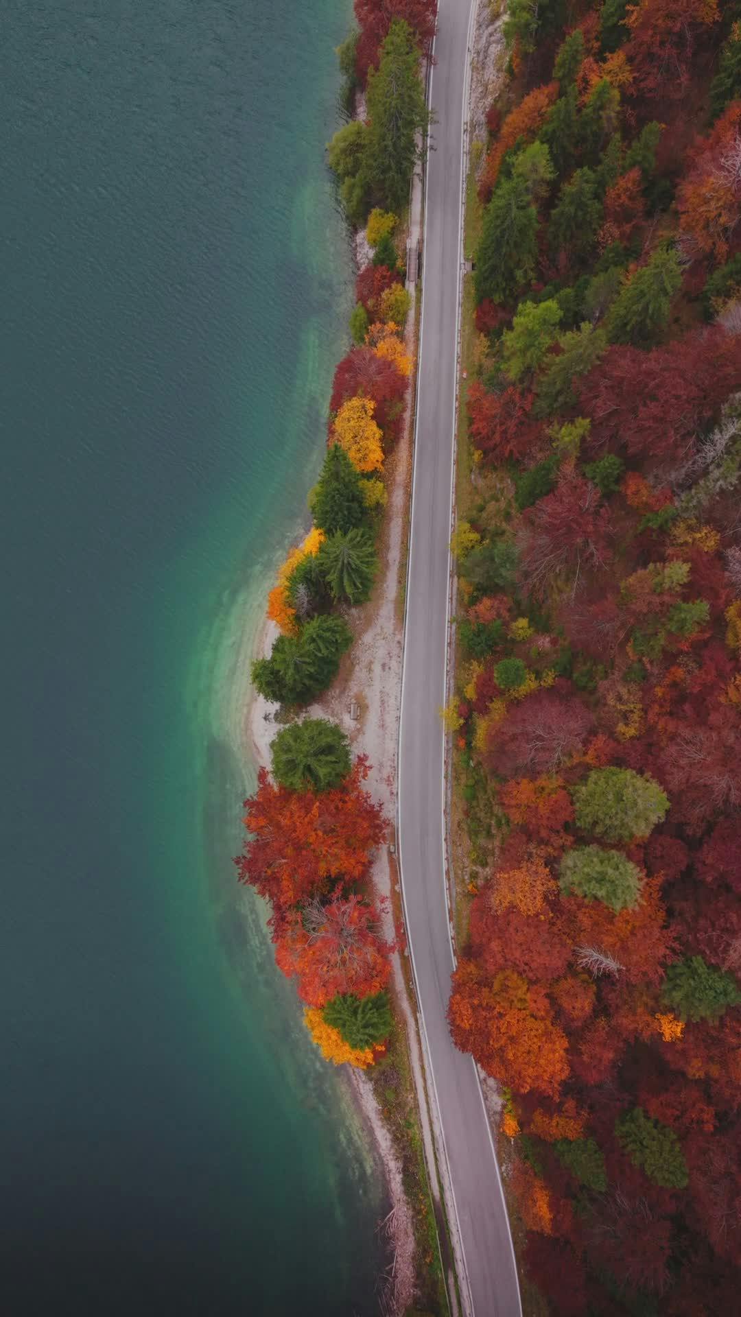 Shots Videos, Download The BEST Free 4k Stock Video Footage & Shots HD ...