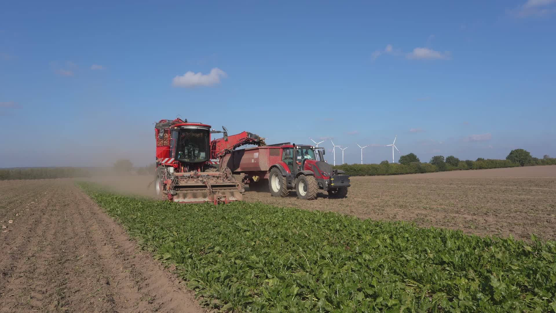 Efficient Beet Harvesting in German Farmland Free Stock Video Footage ...