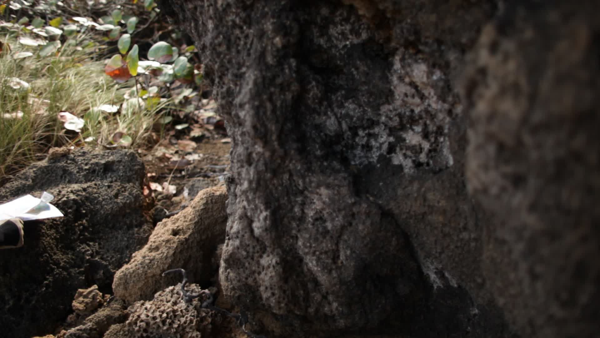 Geologist Examining Rocks in Outdoor Exploration Free Stock Video ...