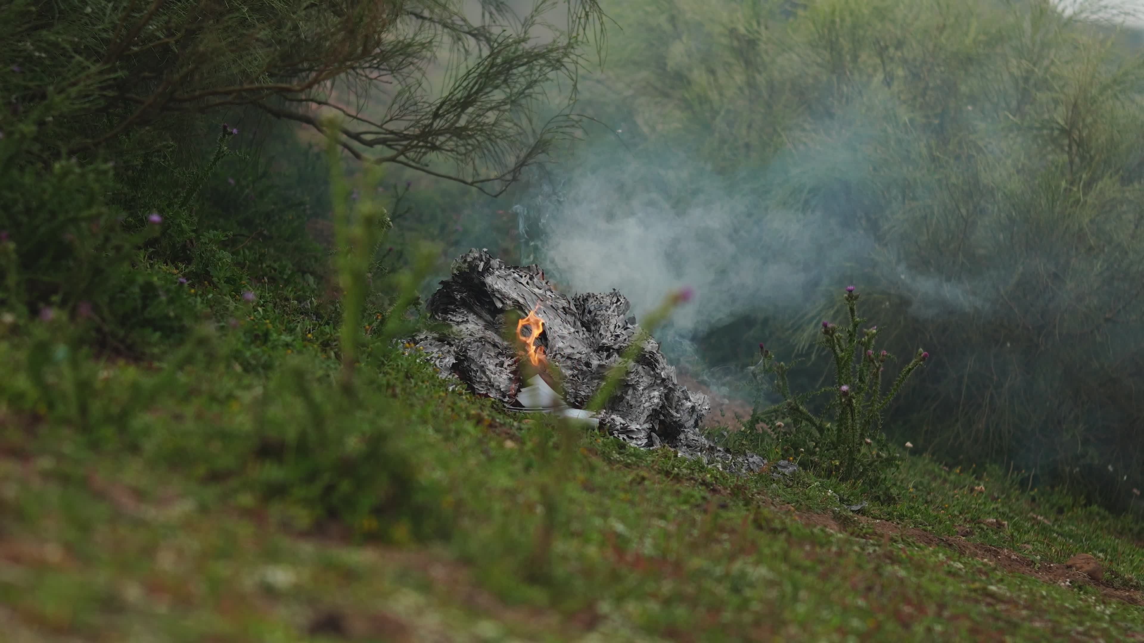 Burning Ashes in Misty Forest Landscape Free Stock Video Footage ...